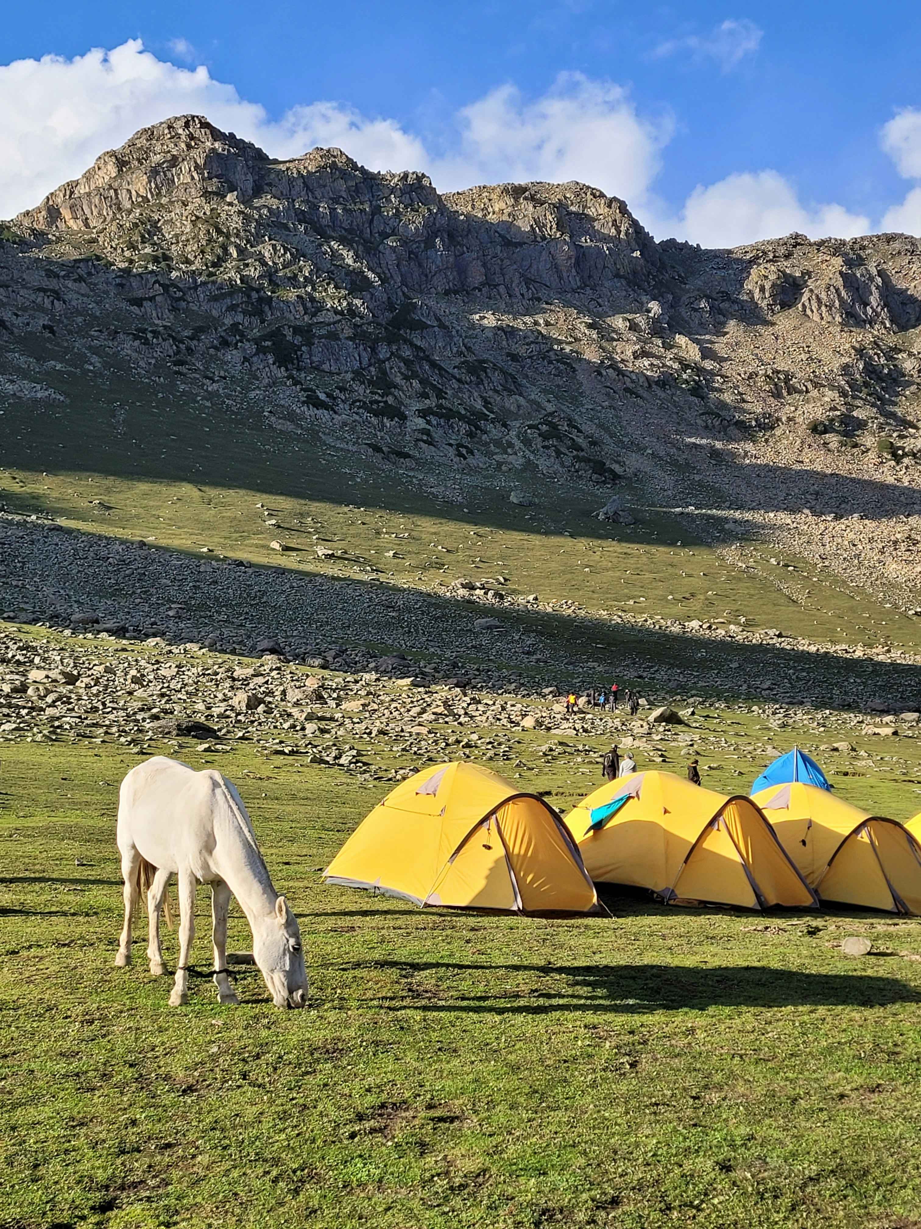 Grazing in the Alpine Camp: White Mare Among Yellow Tents by a Rugged Ridge