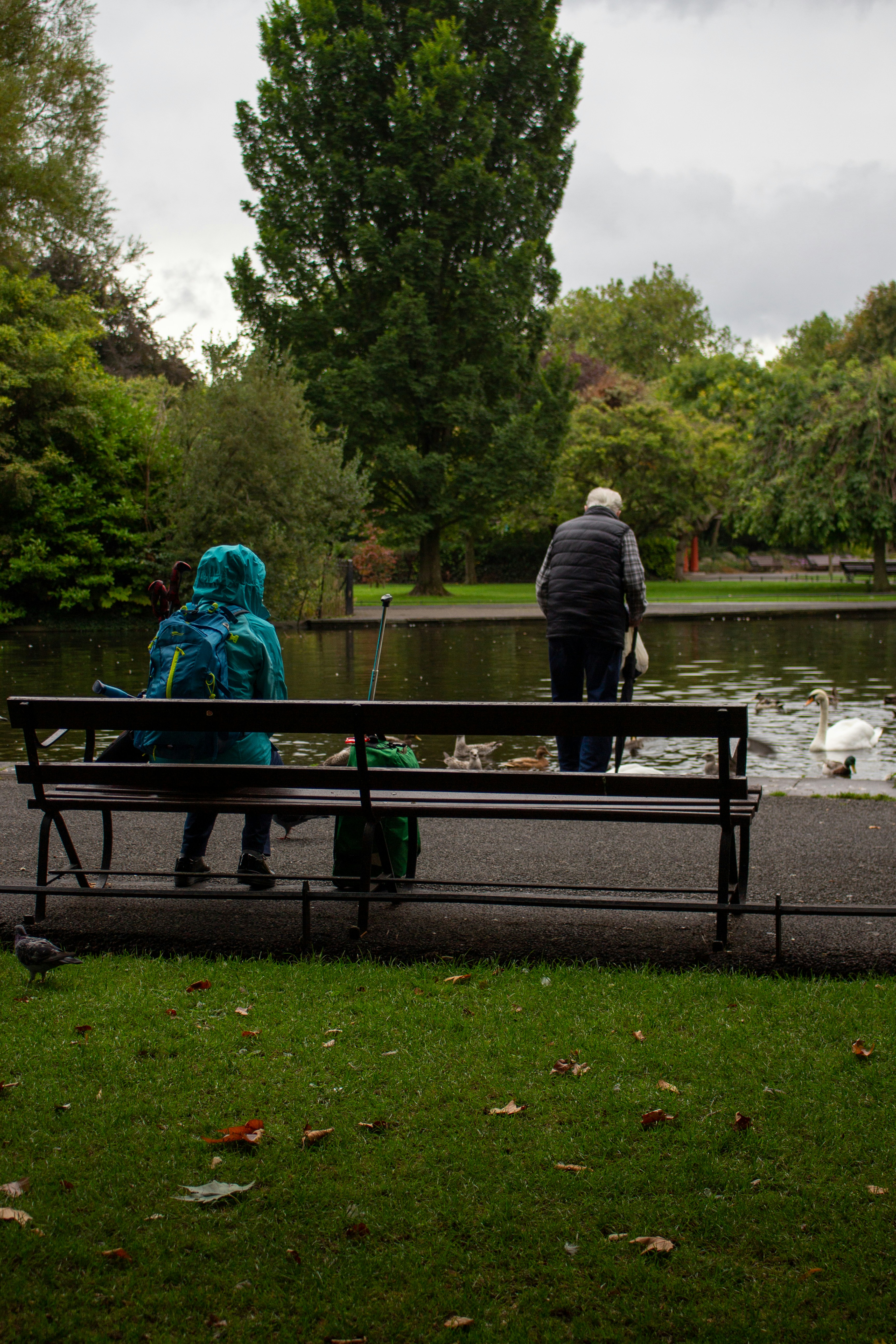 Photo by Alexandro Pasqualicchio with Canon EOS 700D