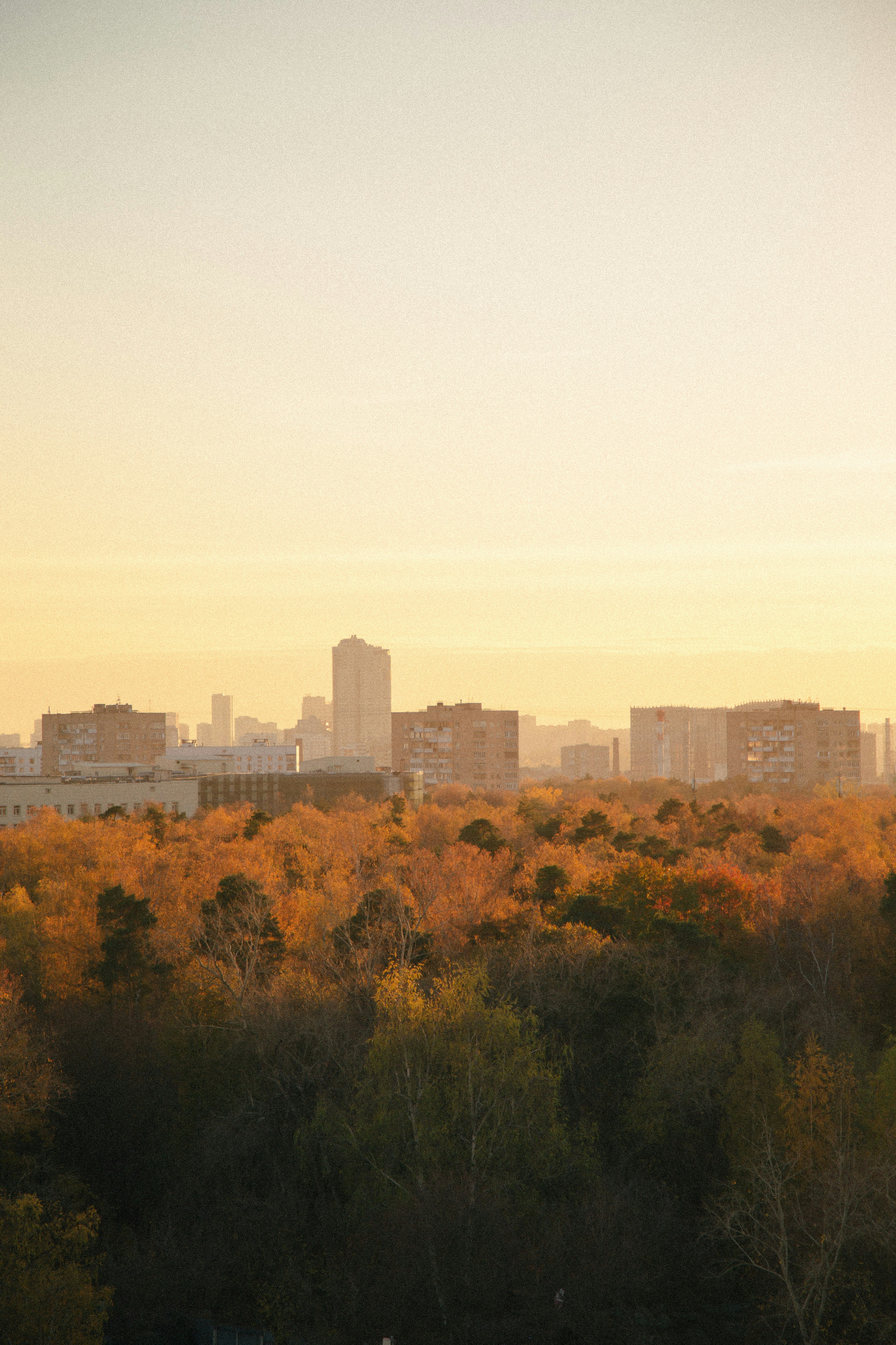 Photo by Klara Kulikova with Canon EOS 6D