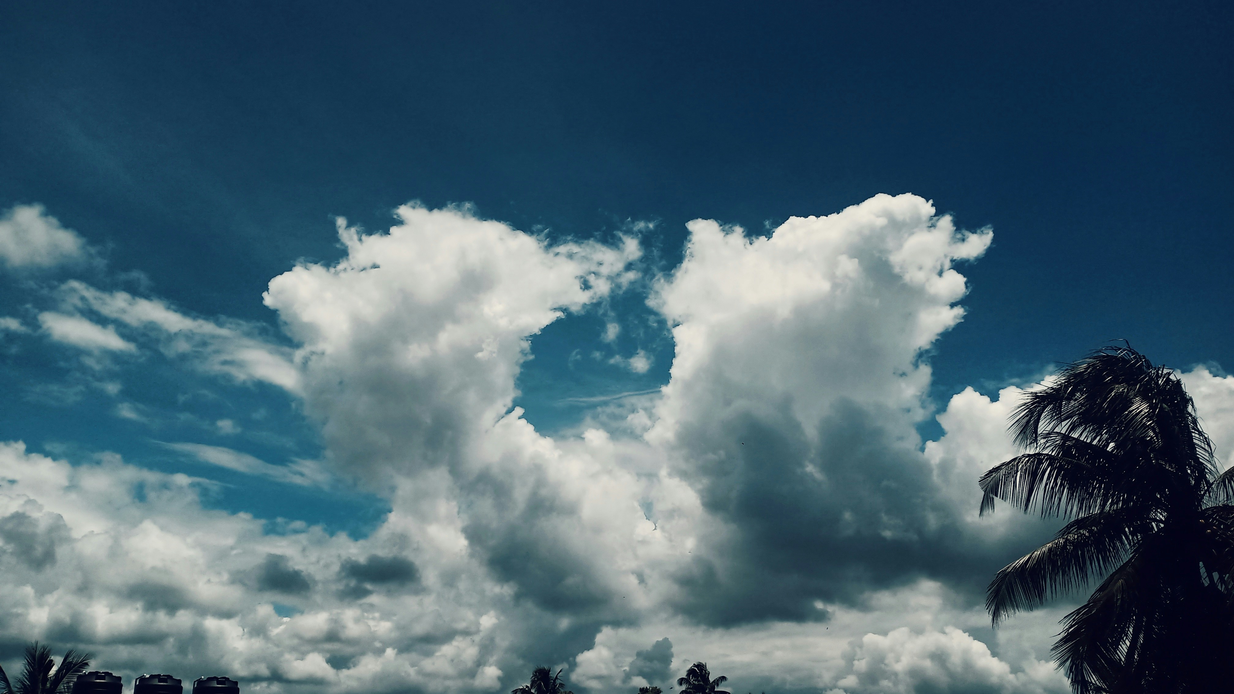 Fluffy clouds forming unique shapes against a vibrant blue sky, with palm leaves framing the scene.