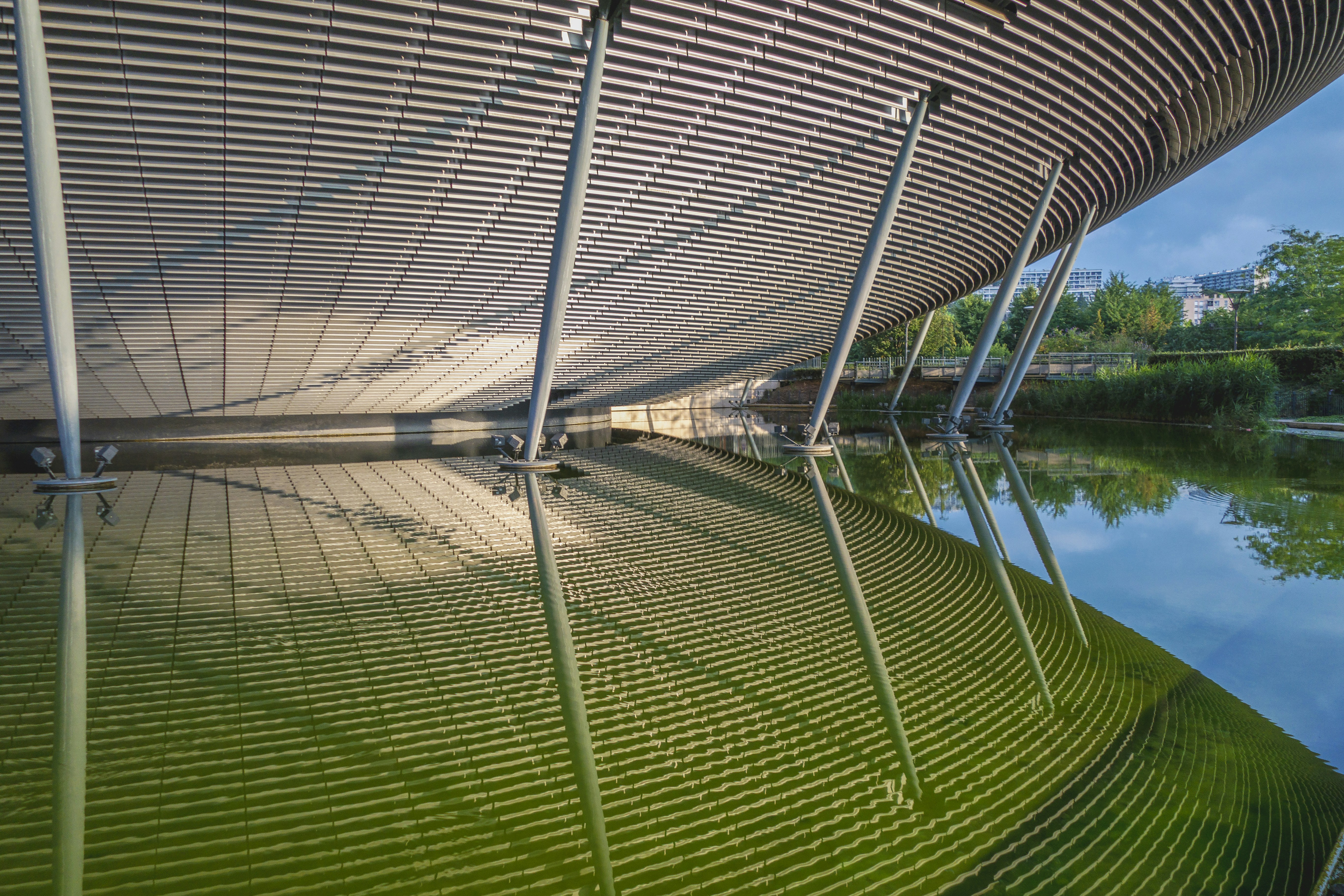 Convergence of Steel Canopy: A Quiet Mirror over Still Water
