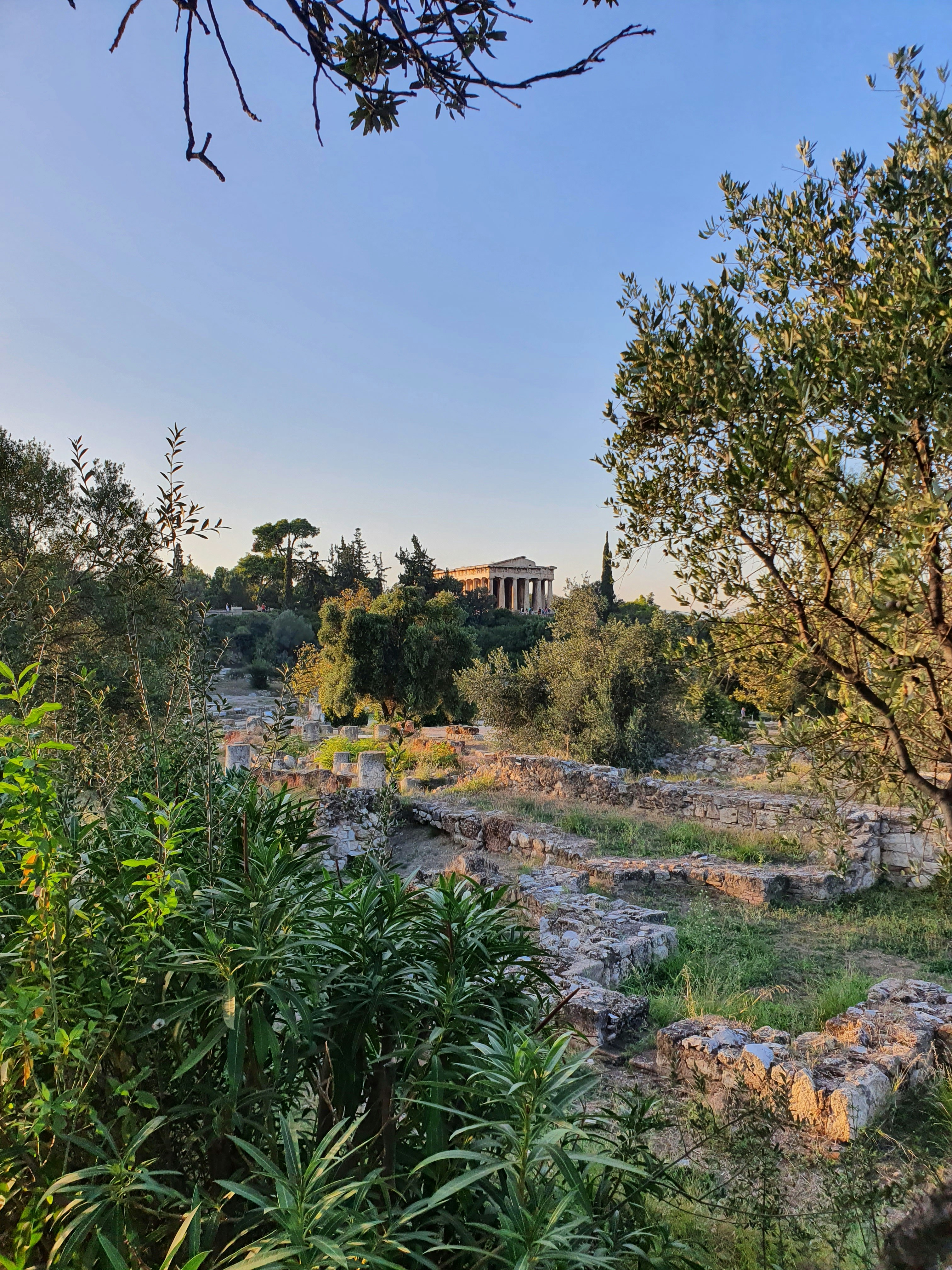 Journey through time with this mesmerizing image taken from Athens' ancient agora during the golden hour. The silhouette of an age-old Greek temple stands proudly against a stunning sunset, its outline narrating stories of a bygone era. As the Athenian cityscape unfolds beneath a sky painted in hues of orange and pink, it’s a sight that evokes an aura of mythical grandeur. Witness a landscape that could have been an enchanted garden from Greek mythology. Perfect as a phone wallpaper, this picture offers a unique blend of aesthetic pleasure and historical resonance.