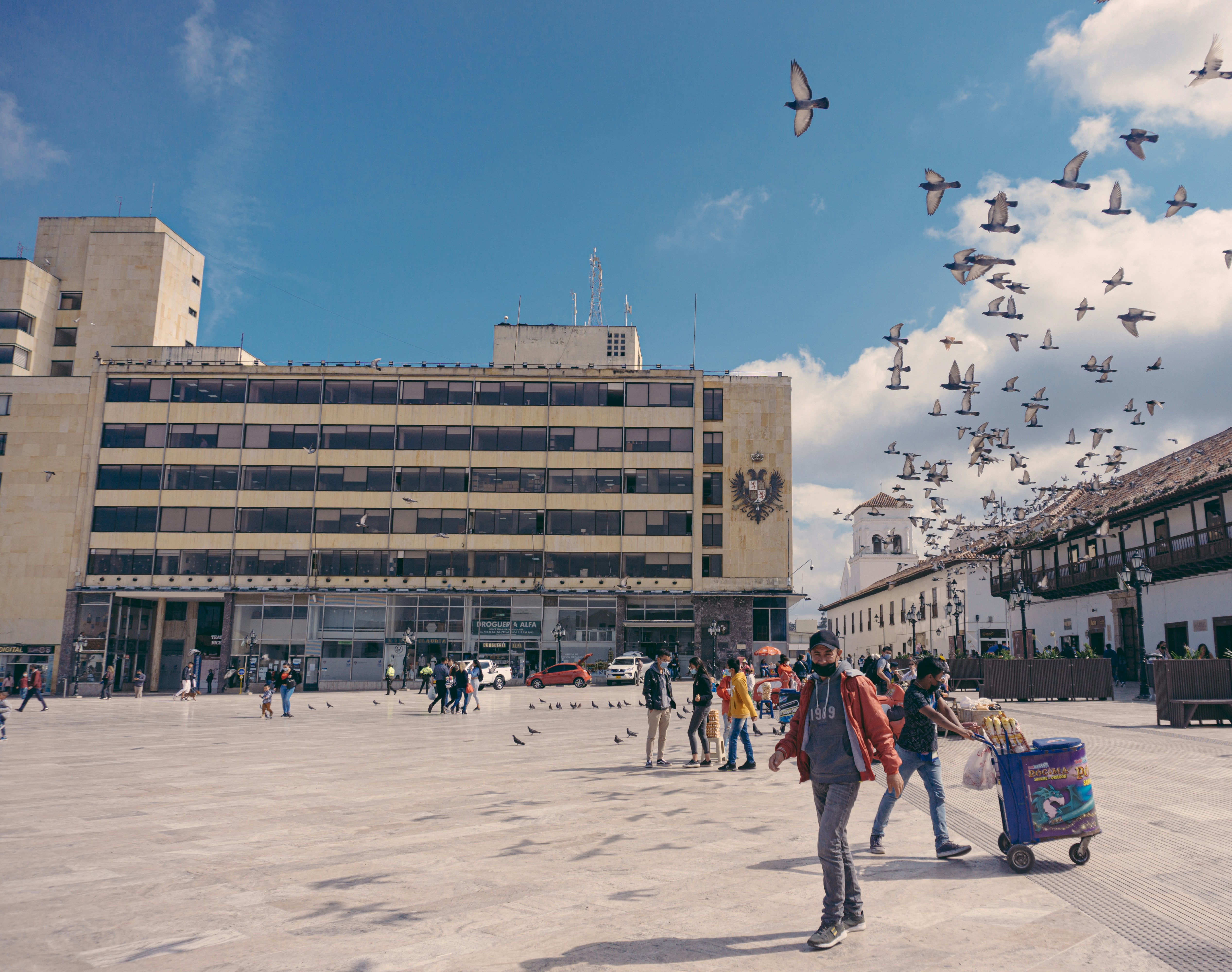 Streetscape Ballet: People, Pigeons, and a Clear Sky