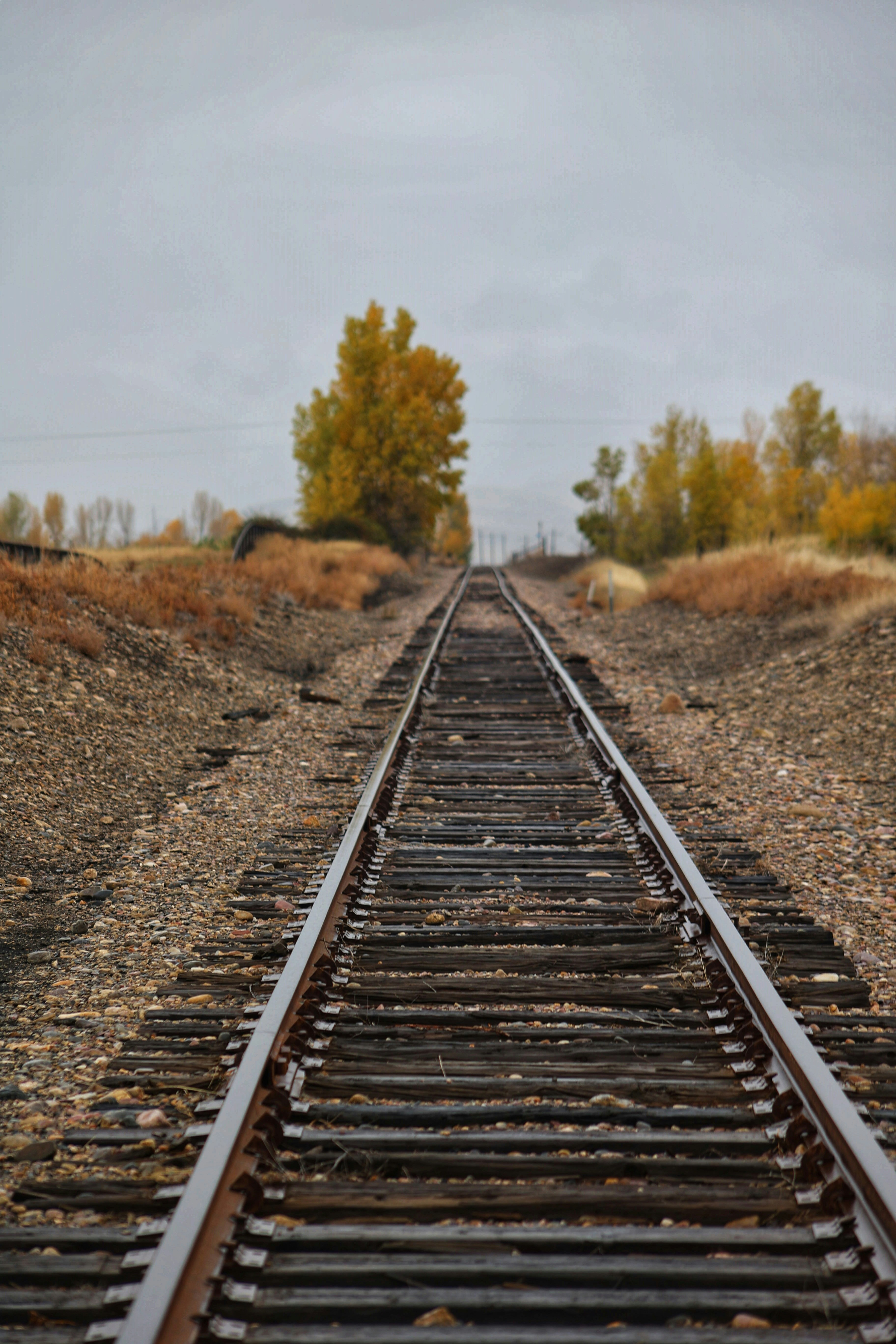 Train Track Side View