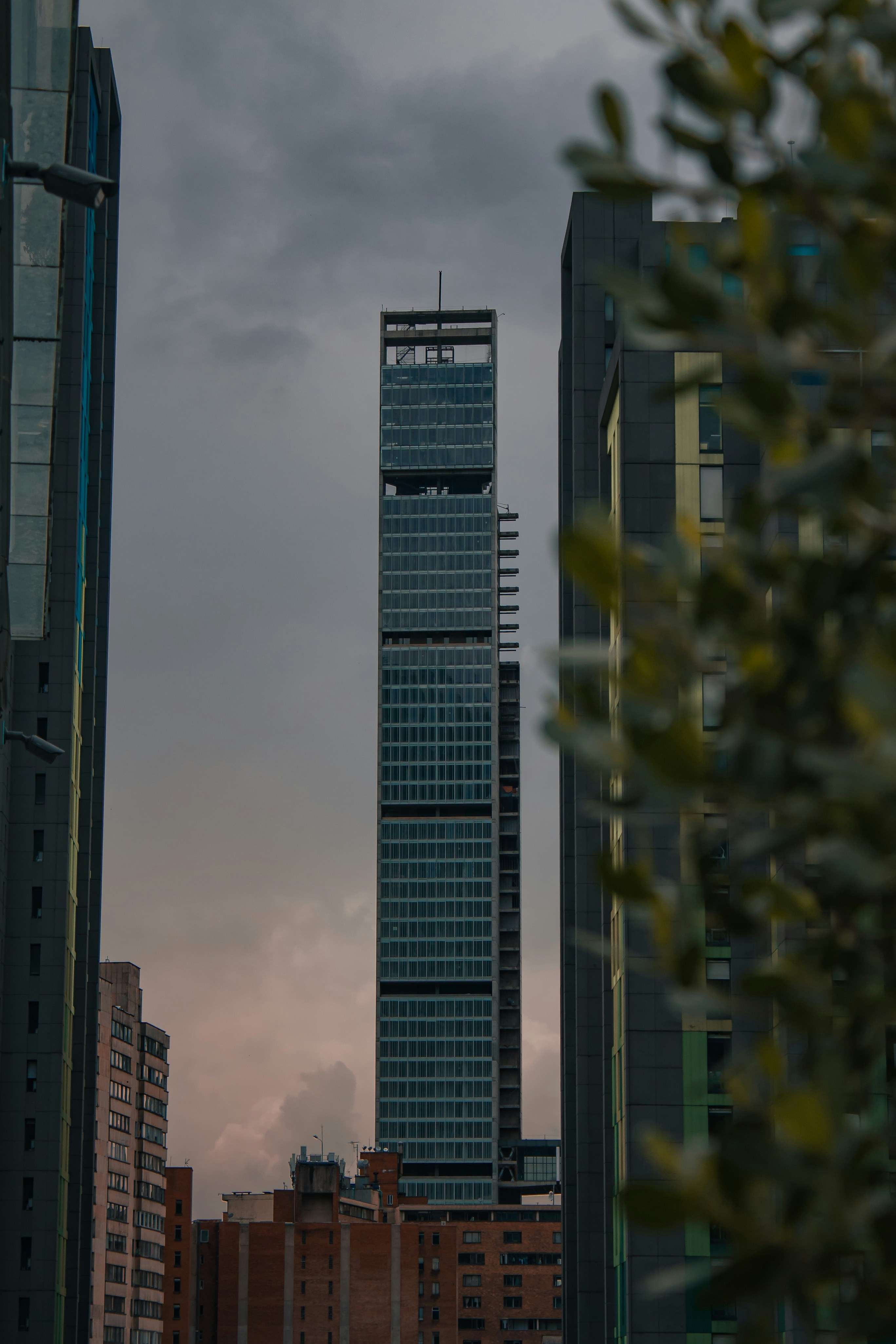 a tall building with a tree in front of it
