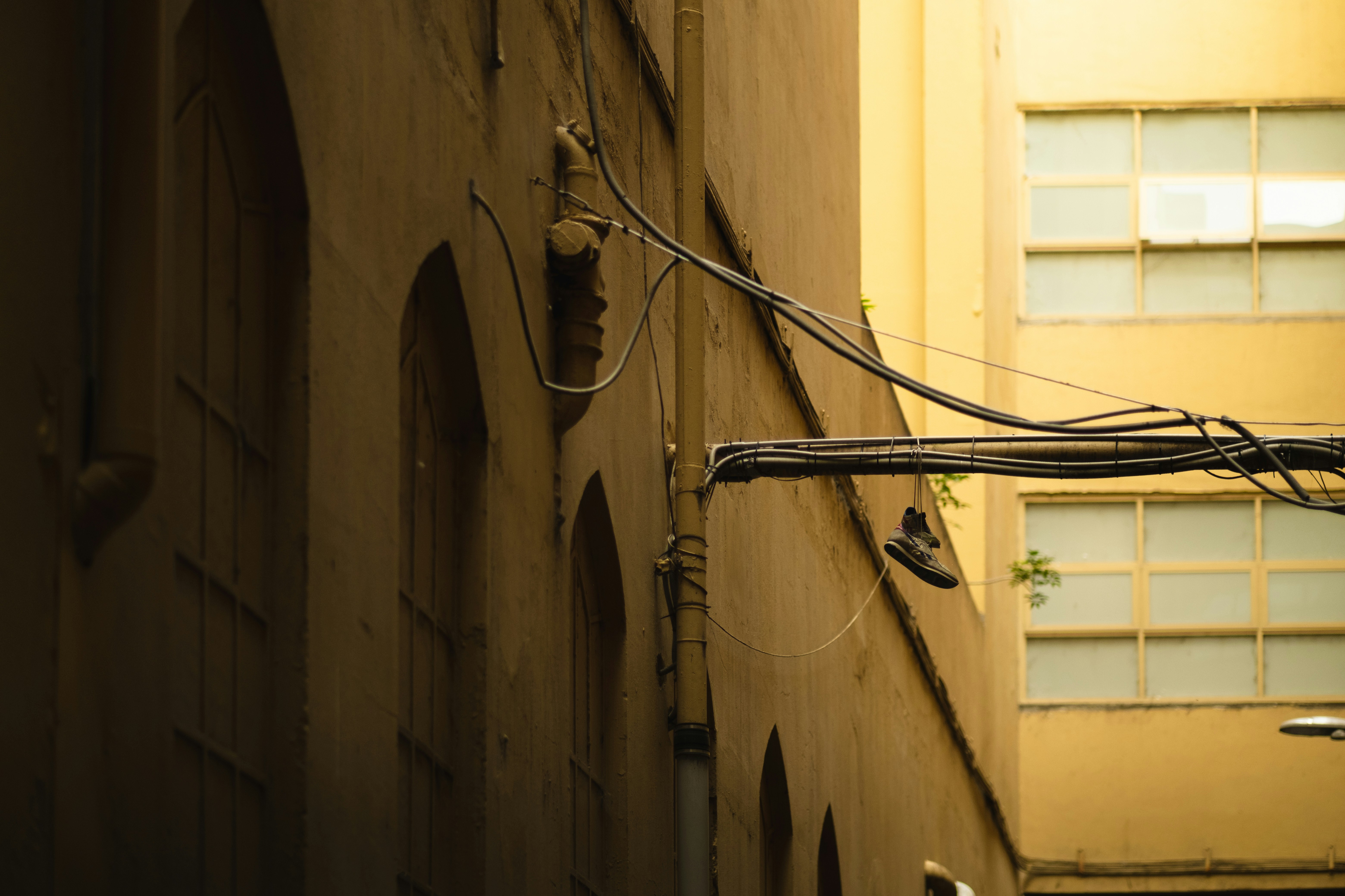 brandon rae (@brandonrae) | Komunitas Foto Unsplash