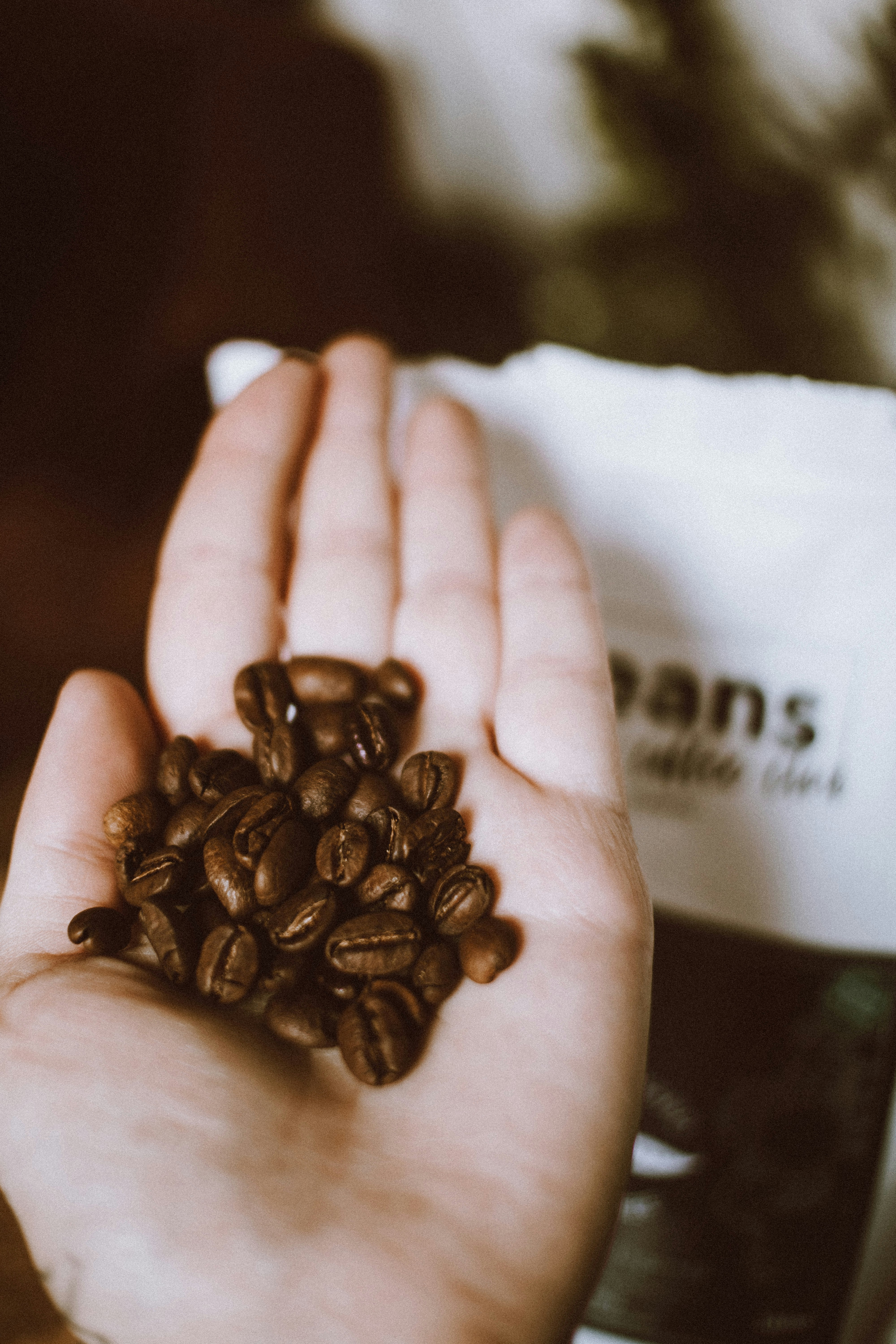 Cupped Coffee Moments: Hands full of Roast