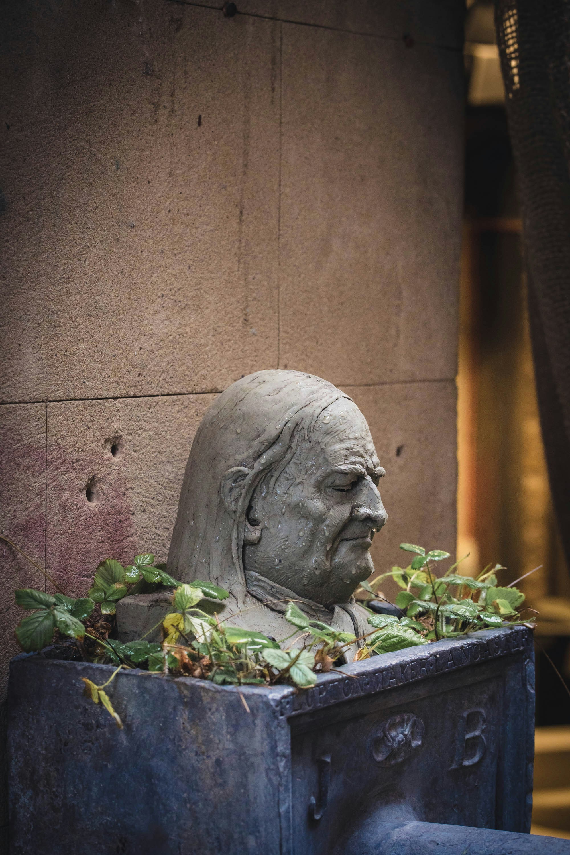 Gaze Among the Ivy: A Weathered Bust Reclaimed by a Planting Pot