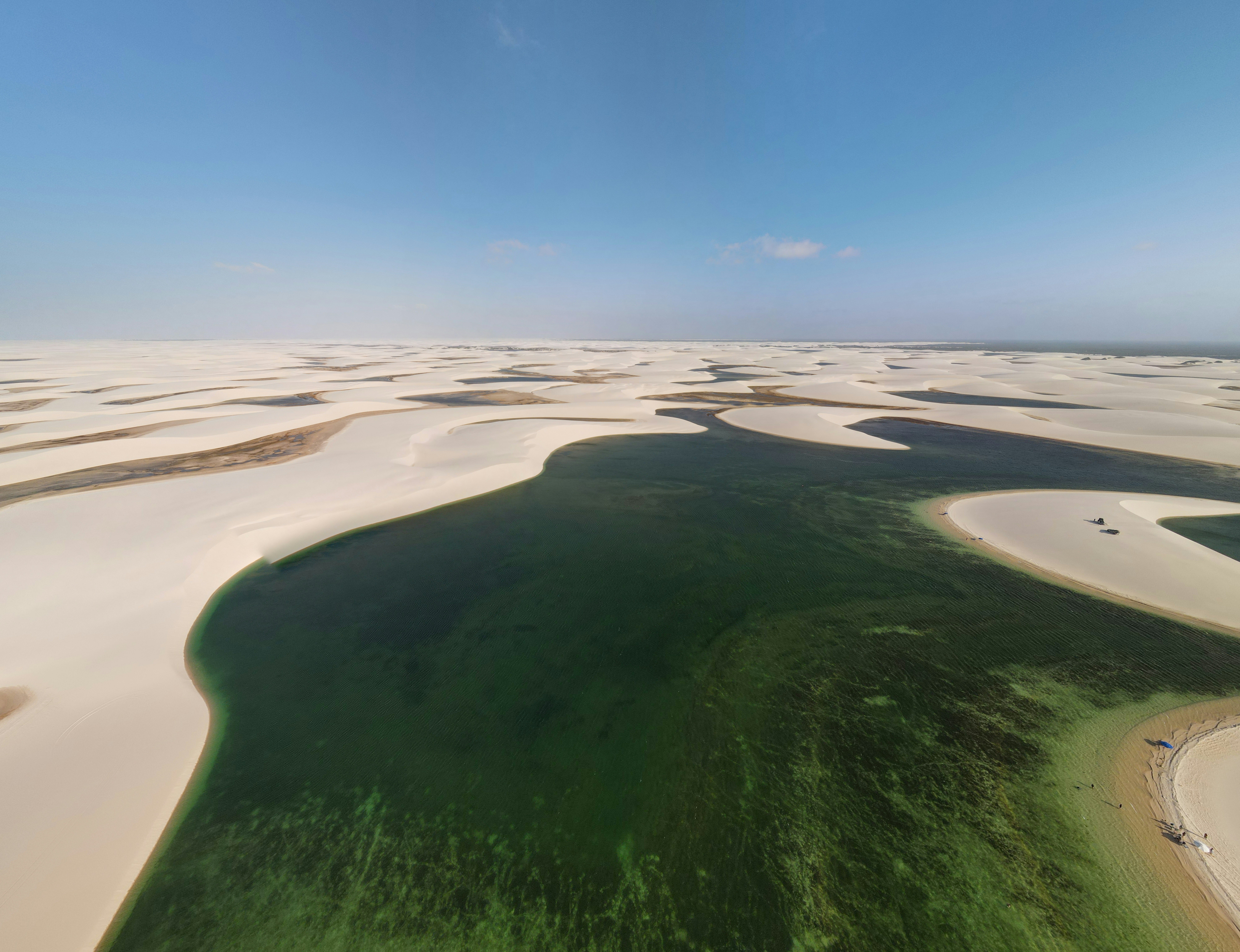 Emerald Inlets Between Desert Sands: Aerial Convergence