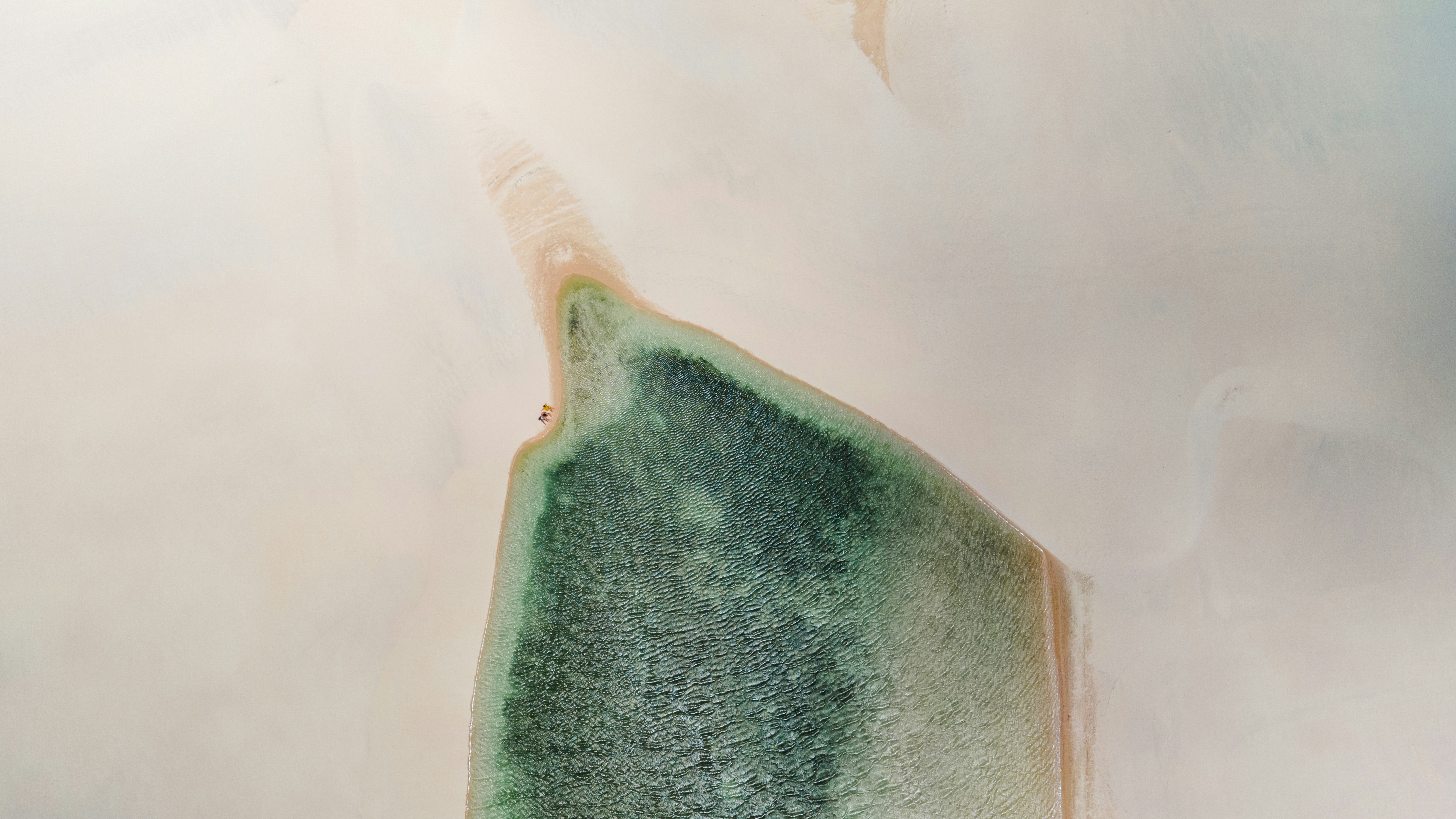 Art | 3 best free art, wallpaper, background and texture photos on Unsplash