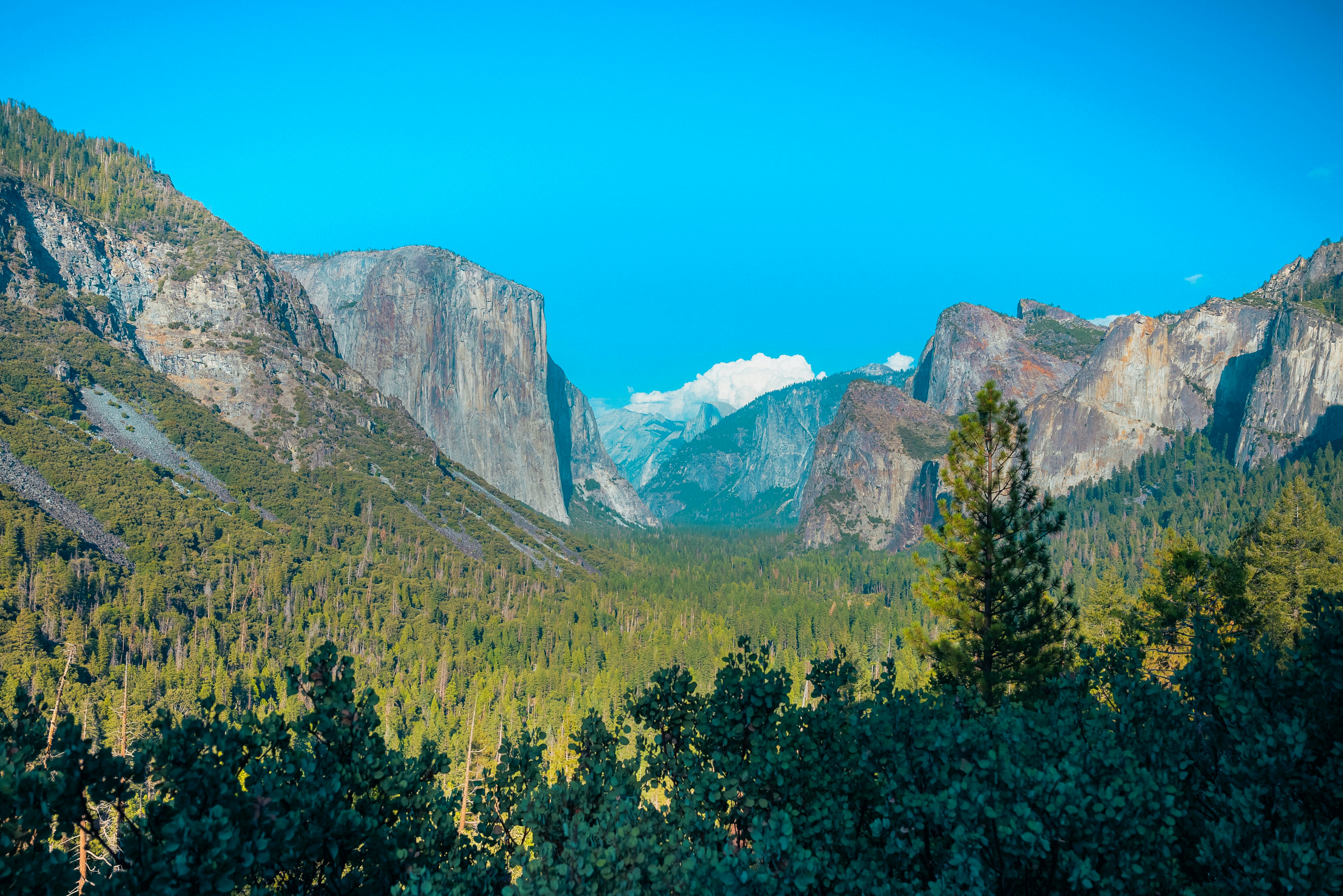 Valley Between Granite Giants: A Quiet Noon in Blue Sky Light