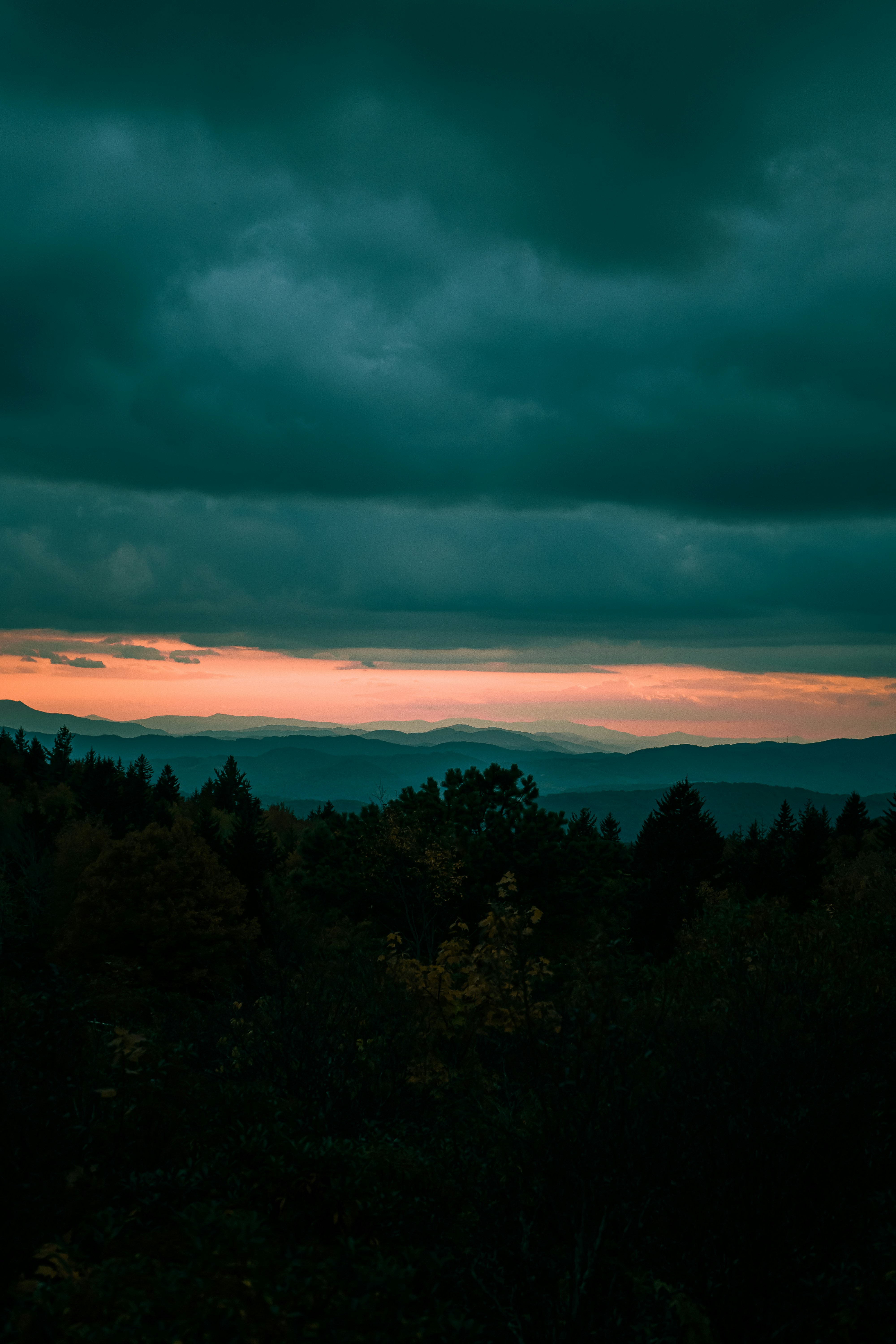 A sunset over a forest photo – Free Nature Image on Unsplash