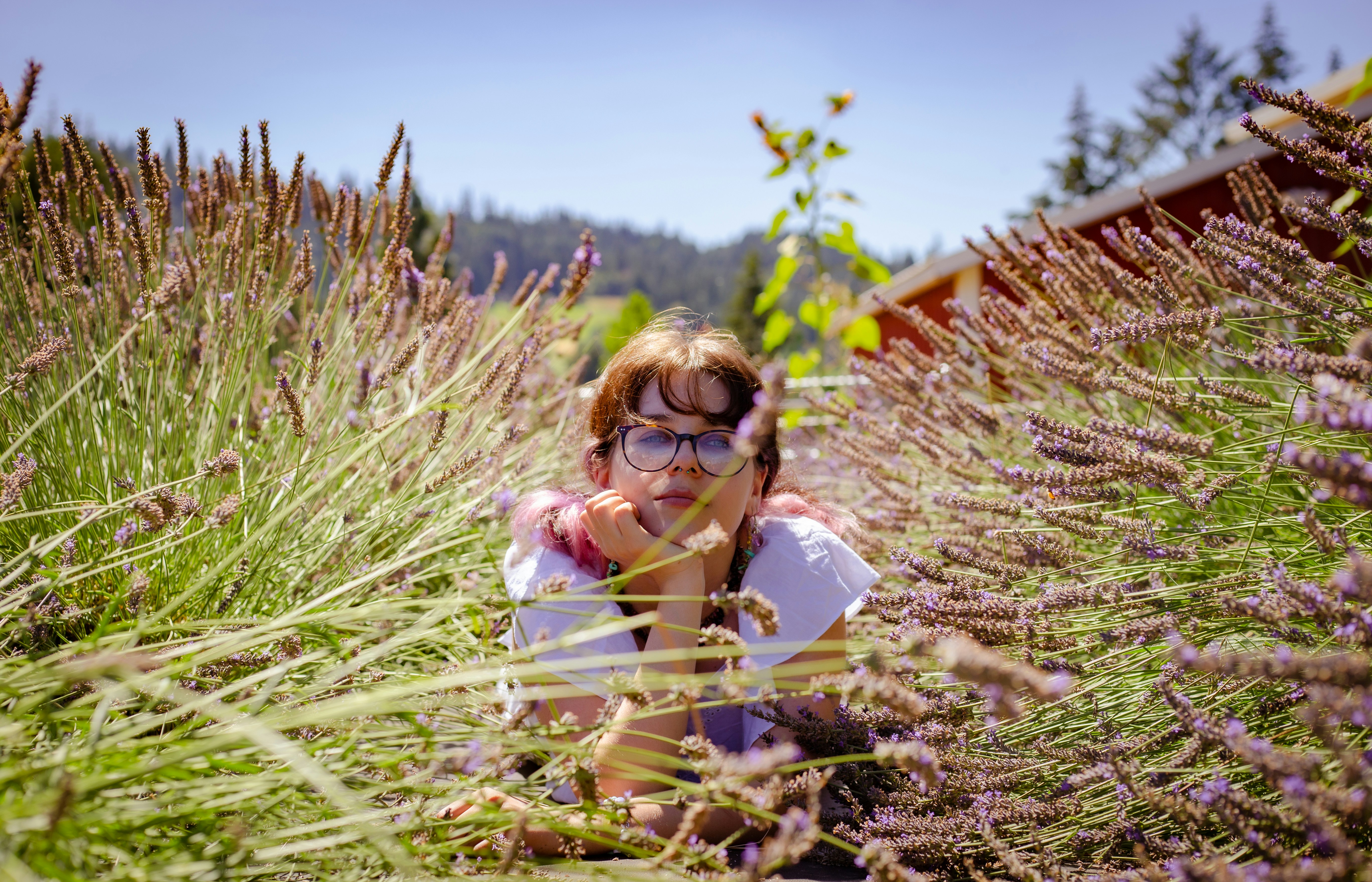 Beneath Lavender Light: A Gentle Portrait in a Sunlit Field