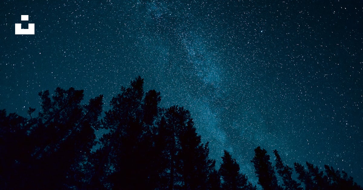 空に星を持つ木々のグループの写真 Unsplashの自然の無料画像