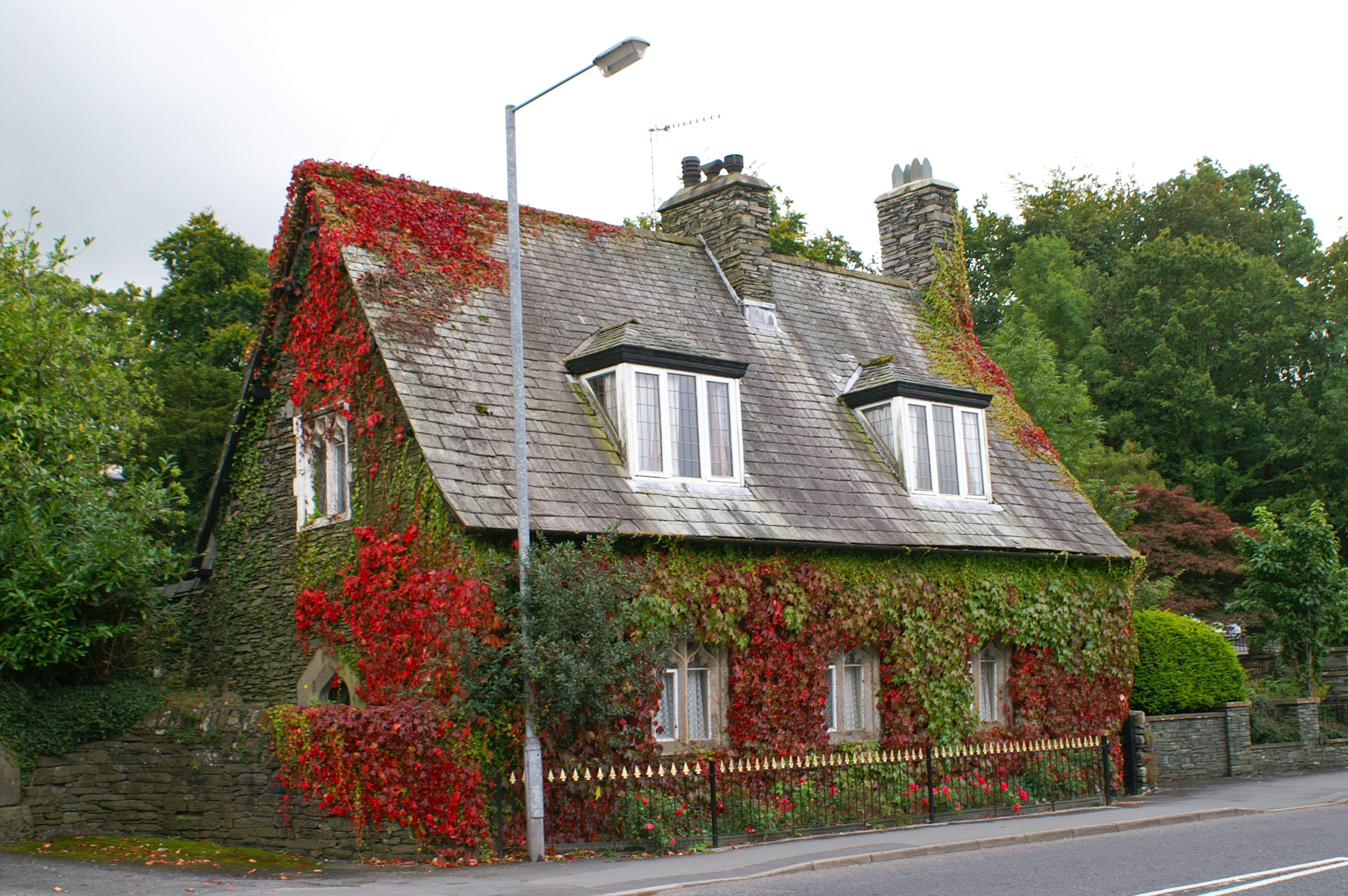 Charming cottage enveloped in vibrant red and green ivy, showcasing the harmony between architecture and nature. The scene captures a tranquil moment in a lush landscape.