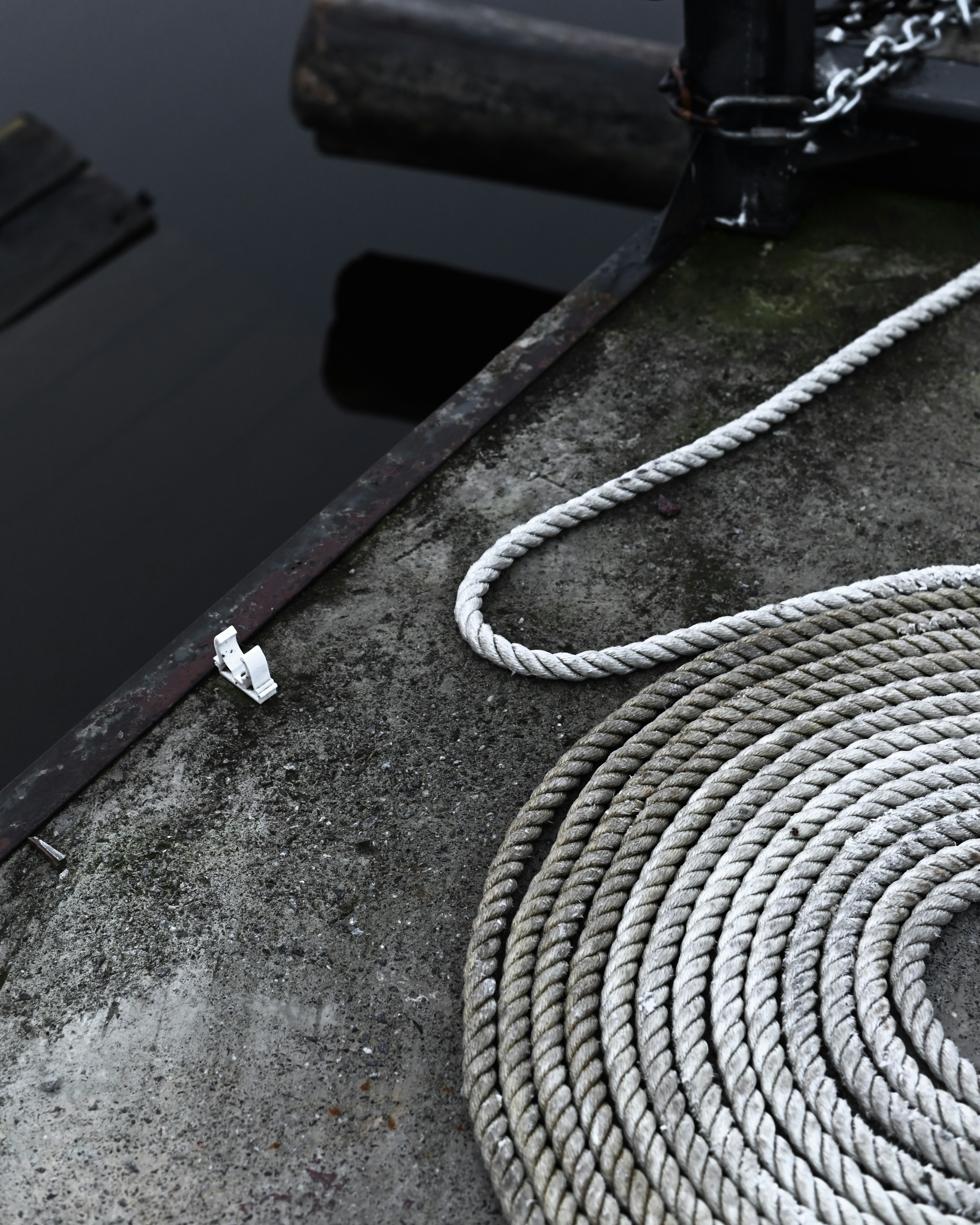 a black and white snake on a black surface