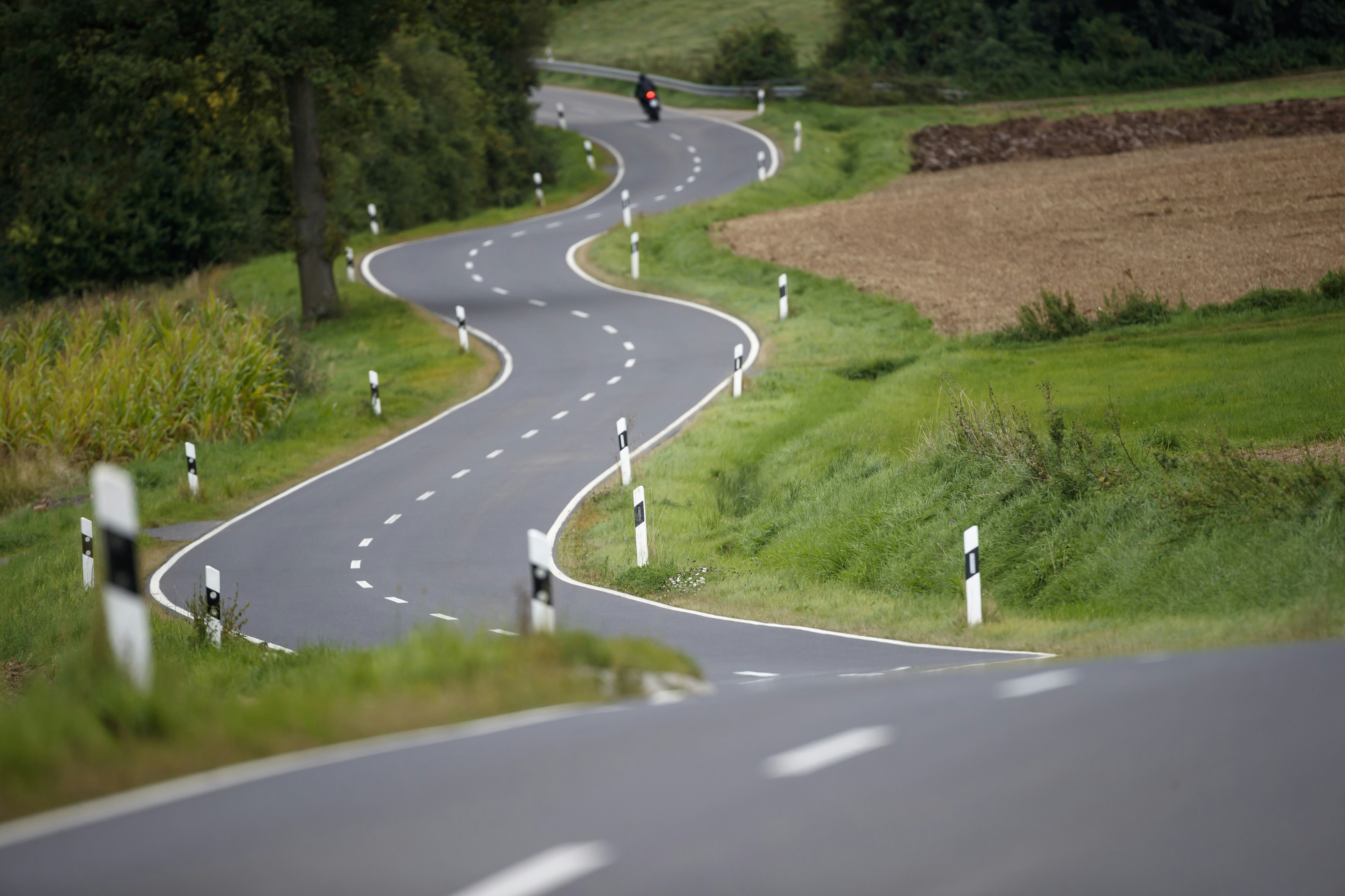 Winding Path Through Tranquil Landscapes