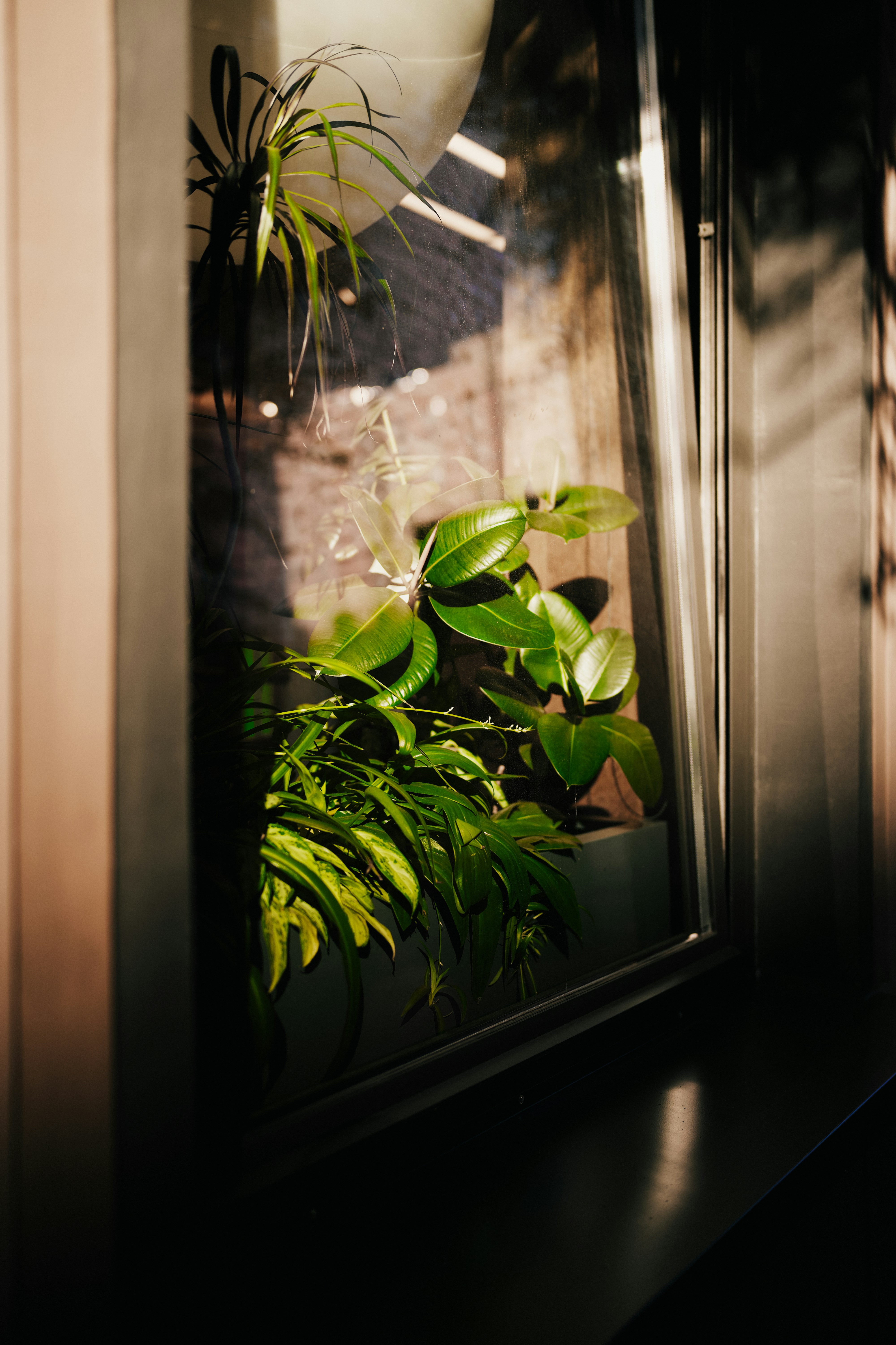 Photo by Sergey Kvint with Sony Alpha 7 II