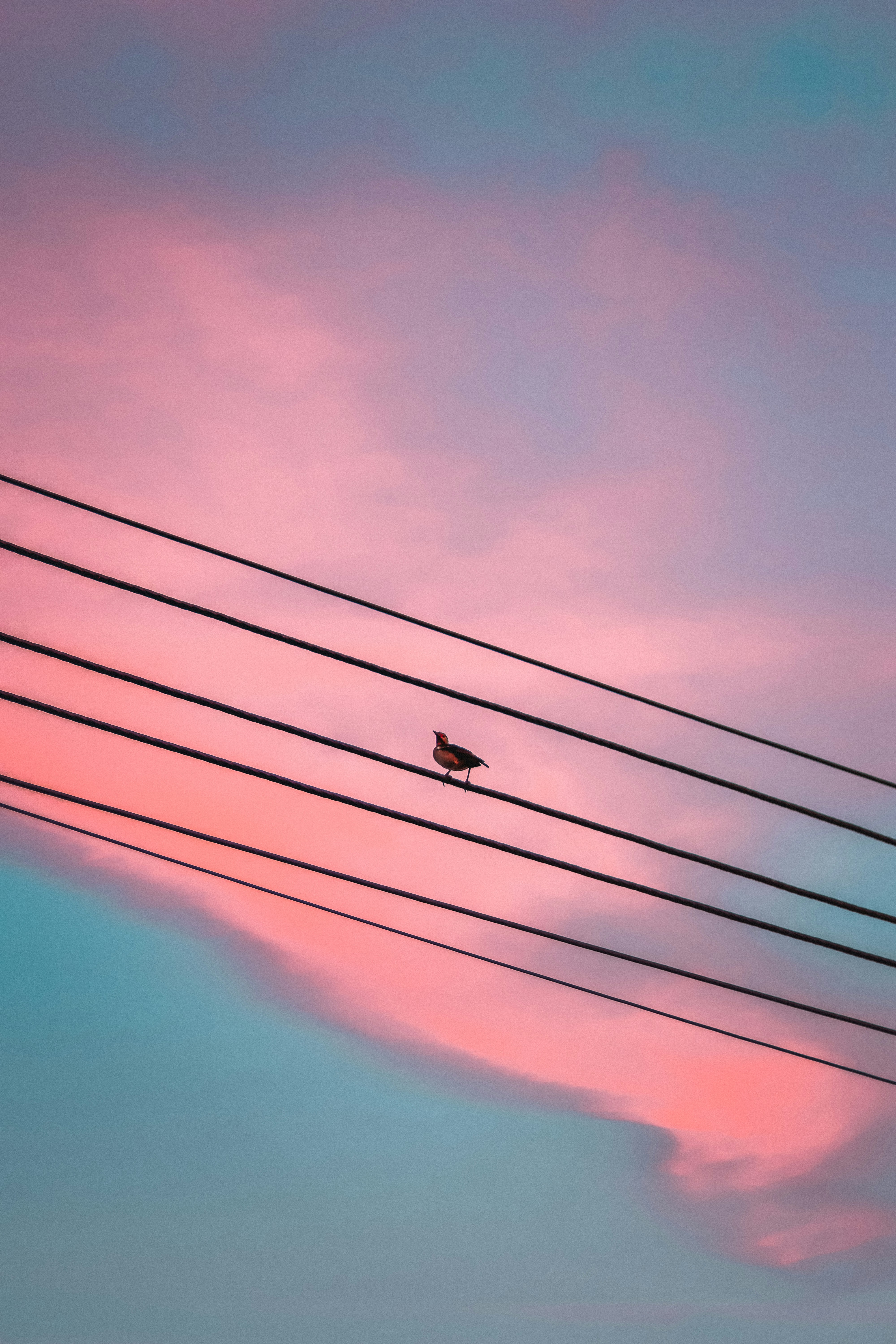 Photo by Kabiur Rahman Riyad with Canon EOS 250D