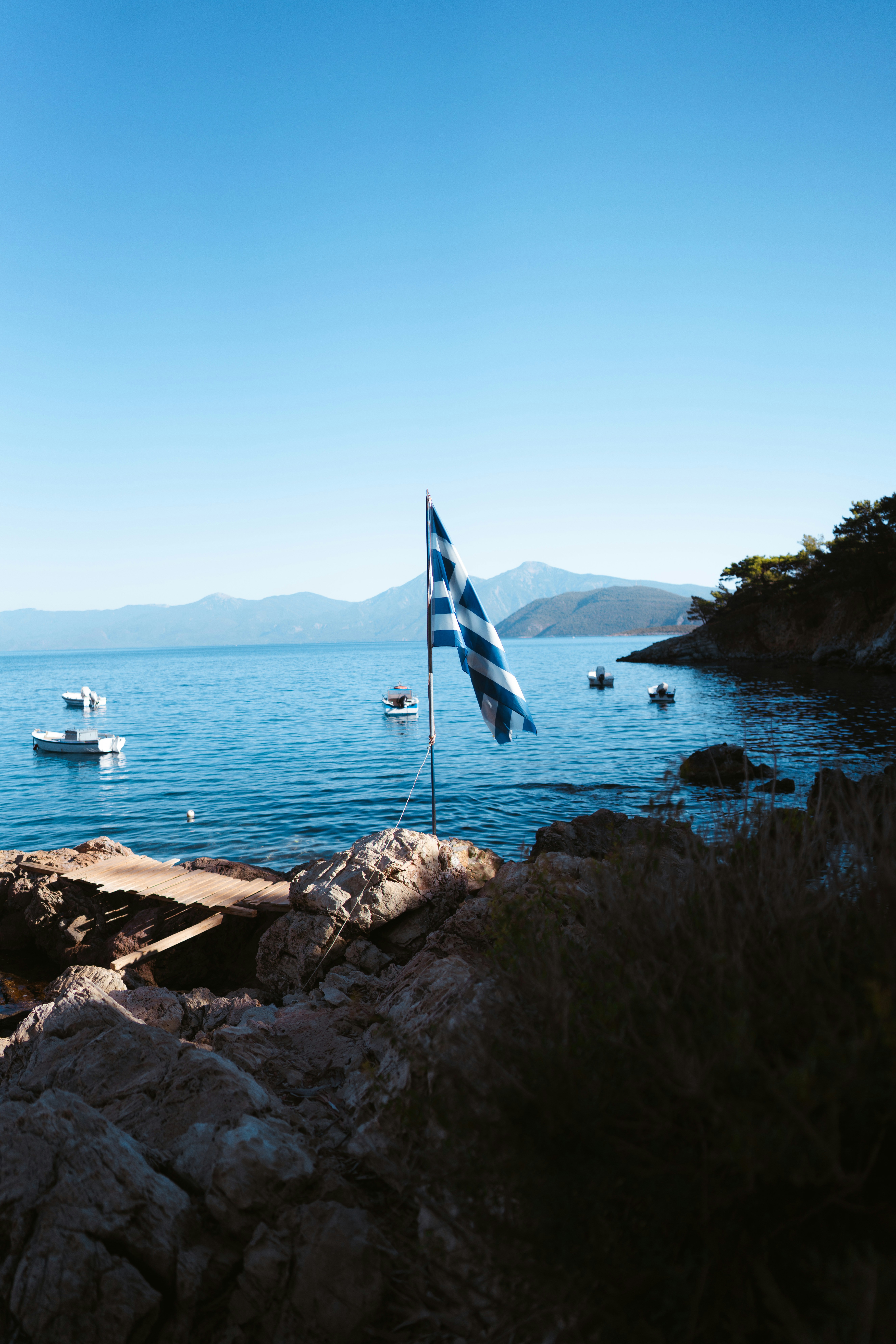 a flag on a pole in the water
