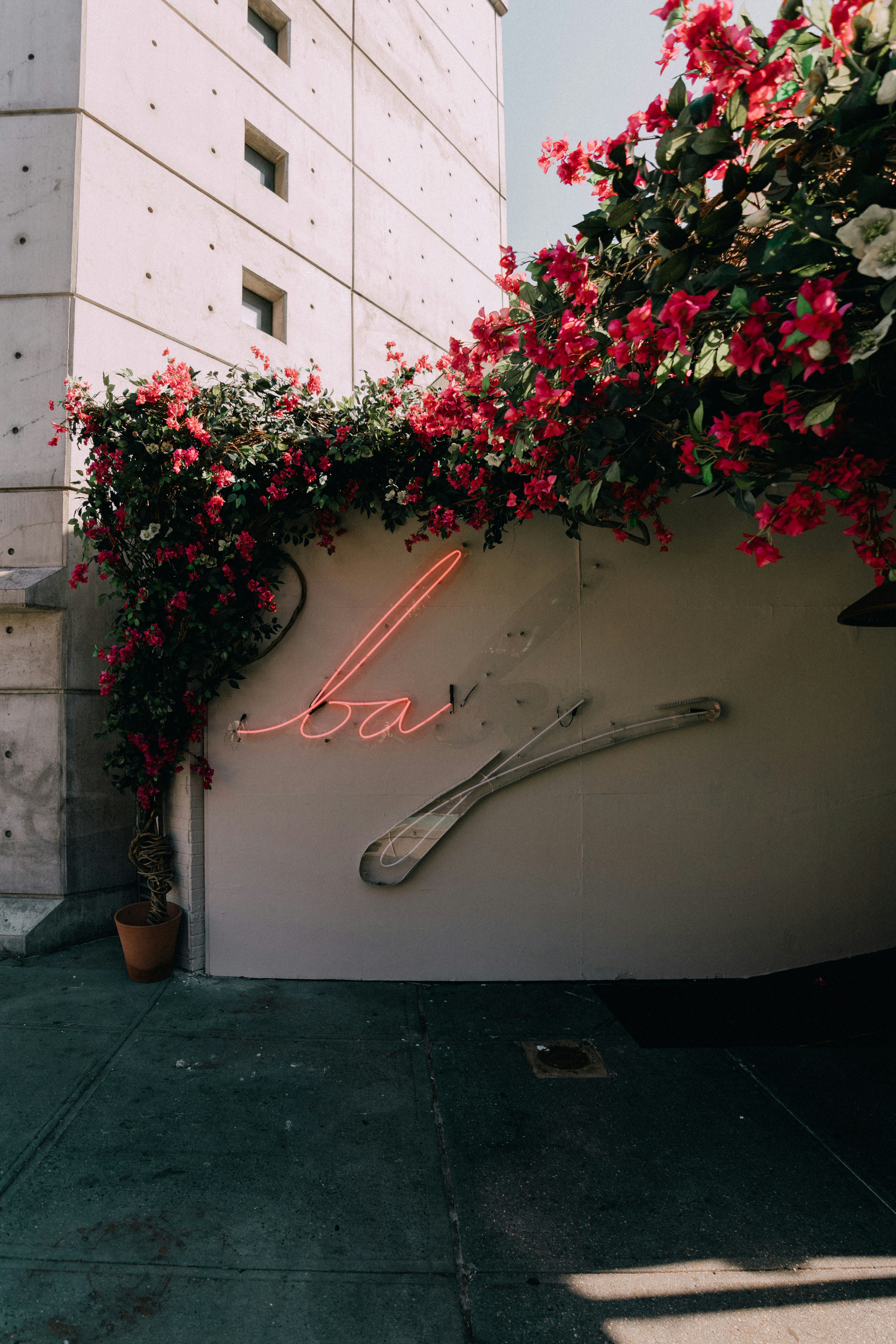 Neon guitar bloom: a retro signage vignette under flowering vines