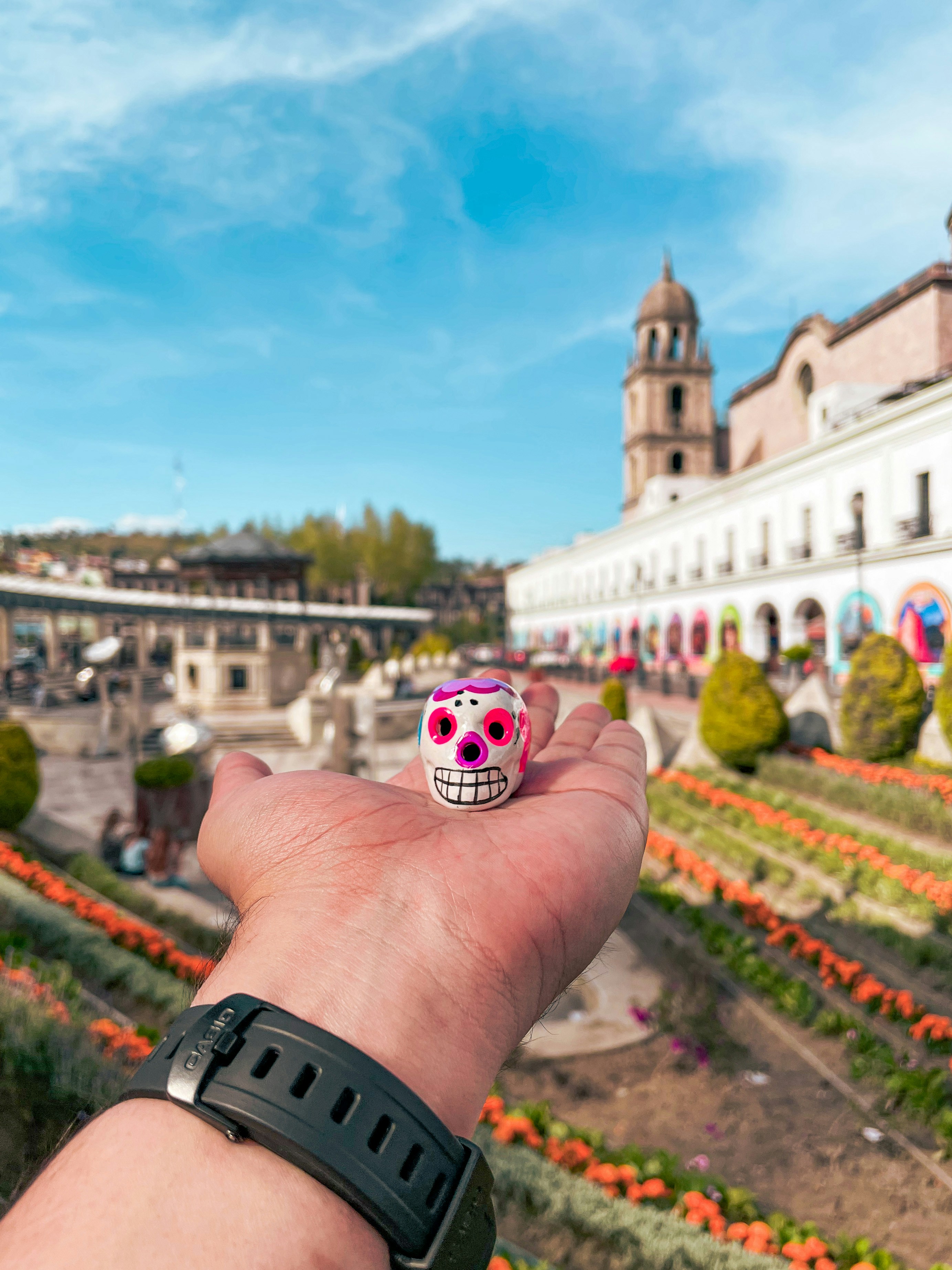 Sugar Skull on the Palm: A Playful City Garden Portrait