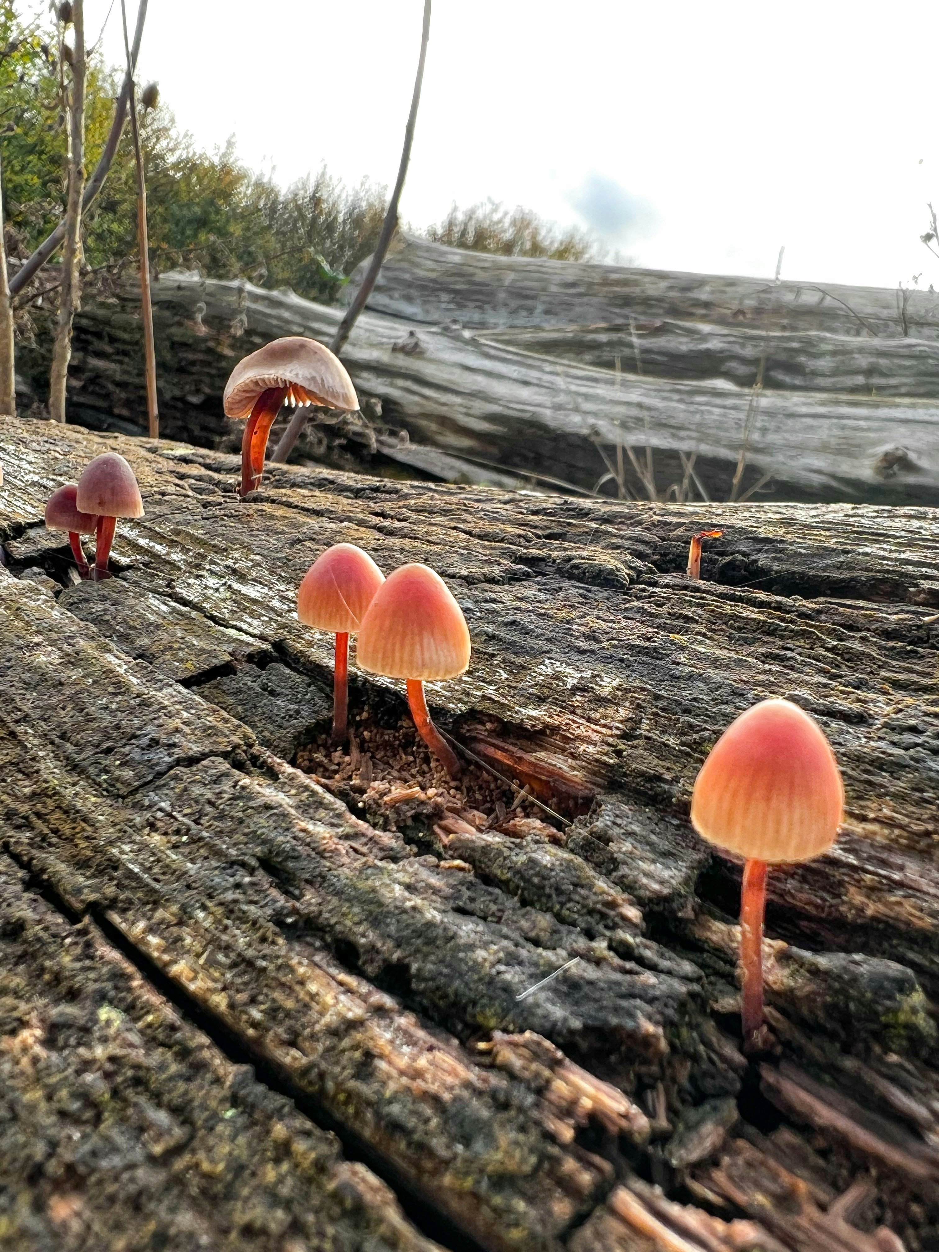 Imogen Carr (@icarr) | Unsplash 사진 커뮤니티