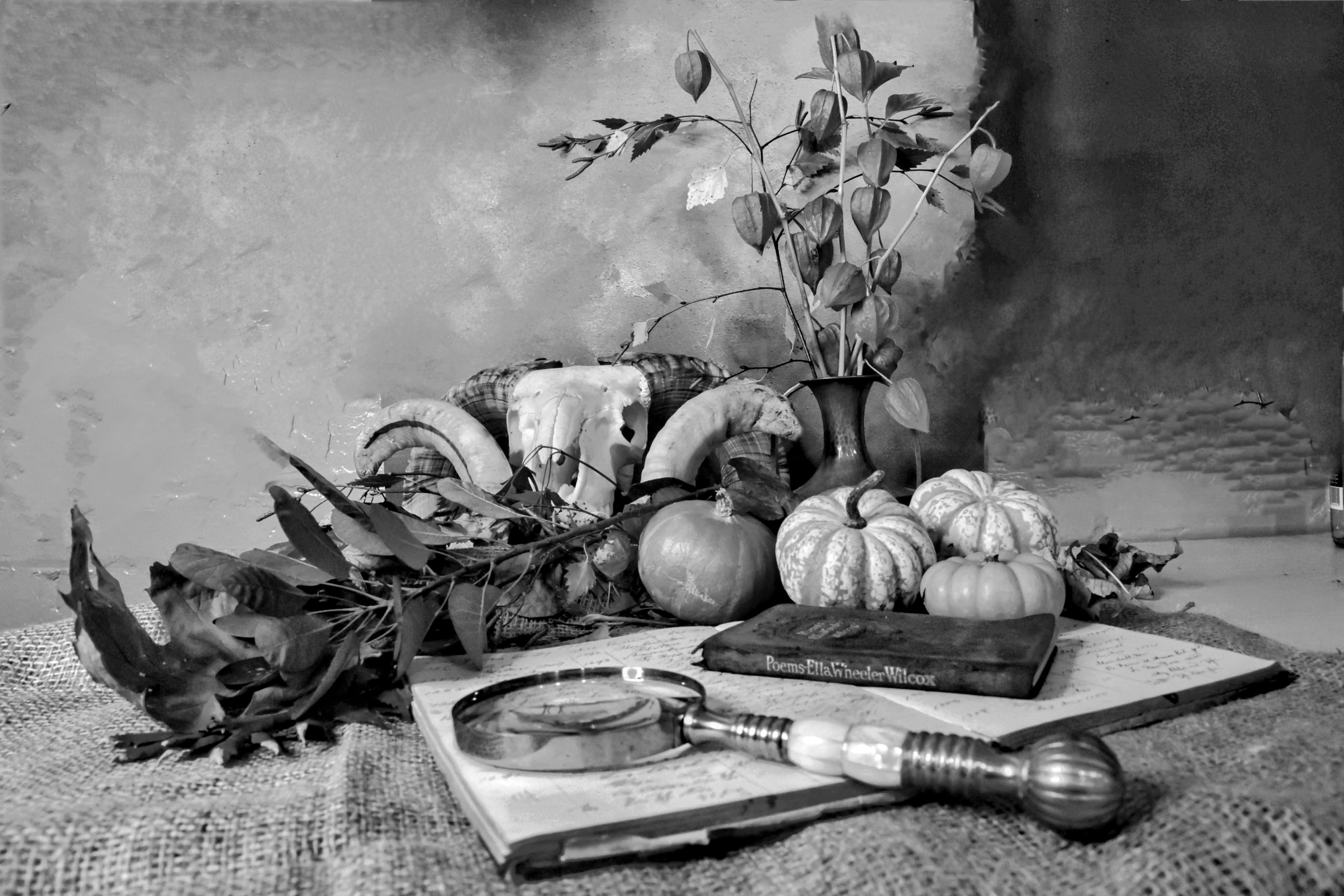 Monochrome Harvest: A Quiet Still Life with Pumpkins, Foliage, and Vintage Tools