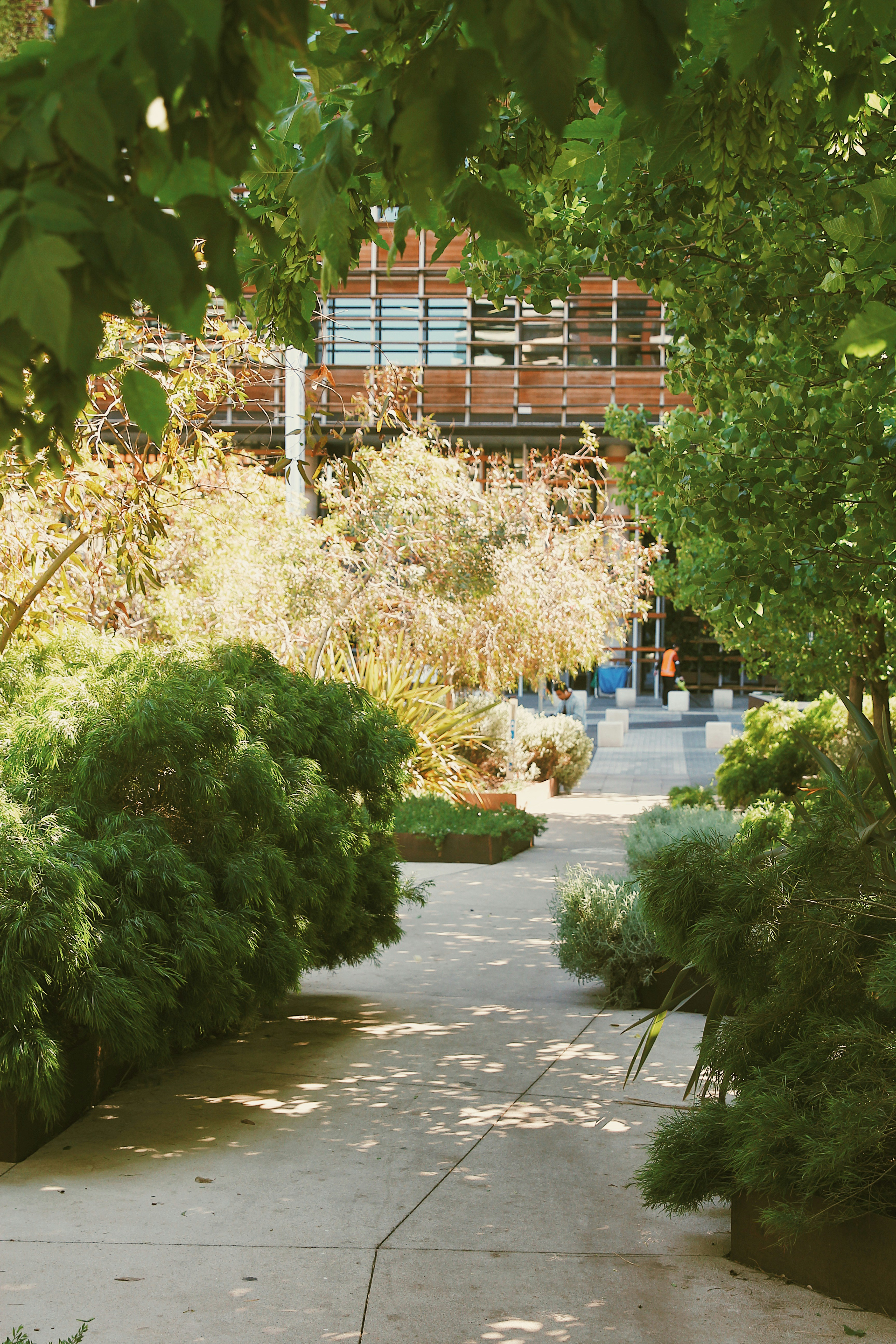 Imágenes de Newacton | Descarga imágenes gratuitas en Unsplash