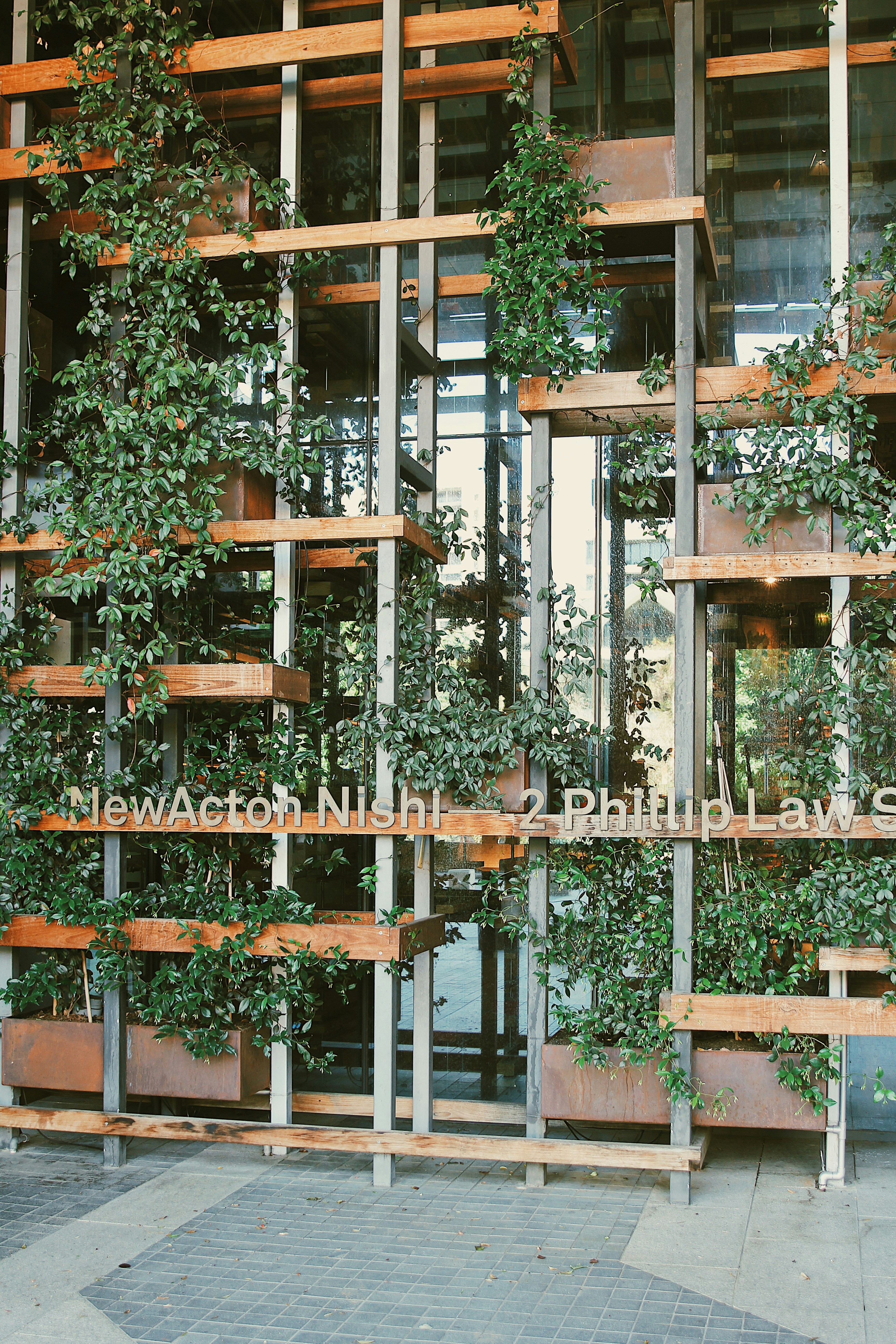 Ivy-Tiled Facade: A Timber-Glass Grid Framed by Urban Greenery
