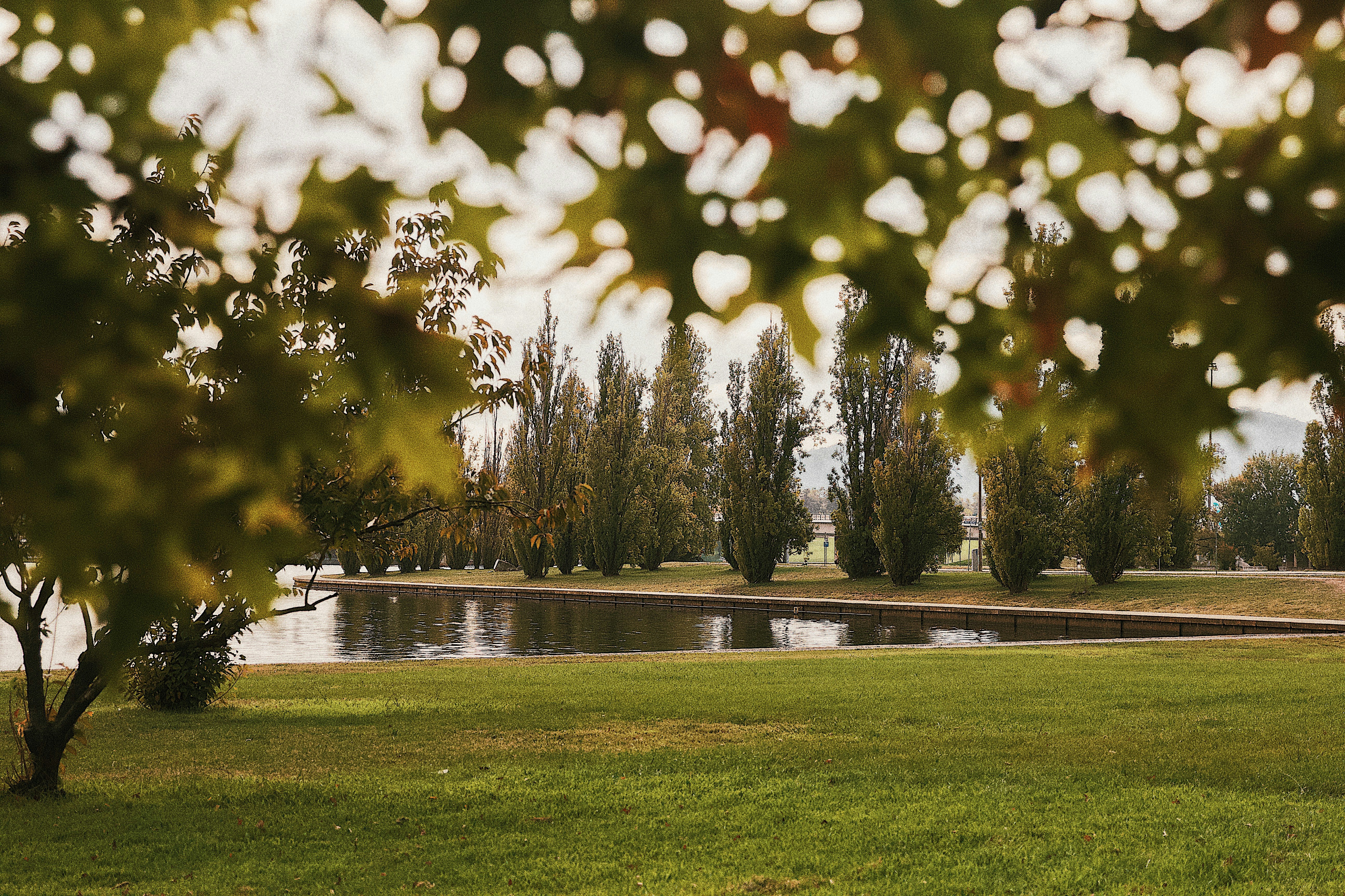 Lake Burley Griffin Photos | Télécharger des images gratuites sur Unsplash