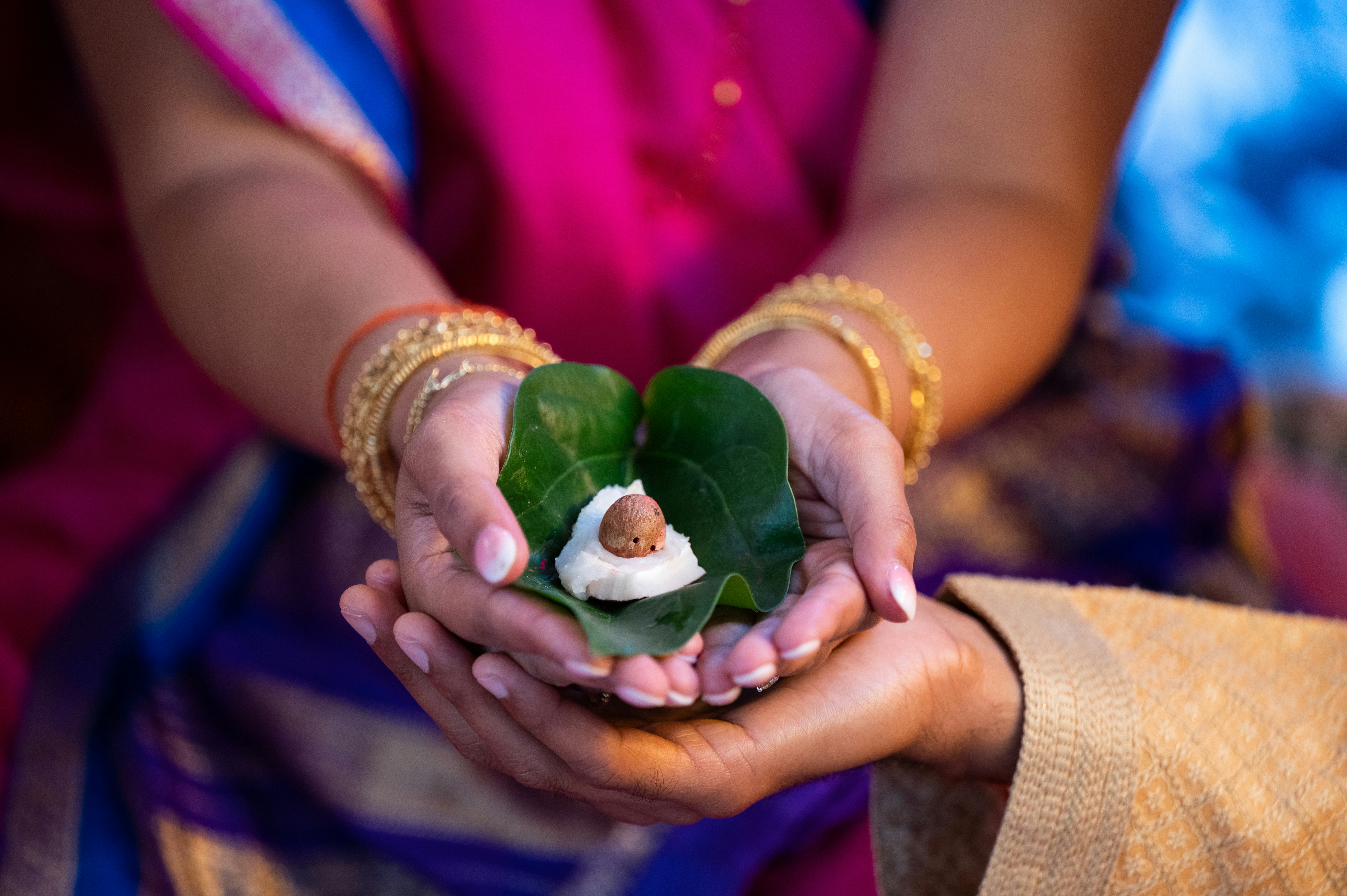 A group of hands holding a green turtle photo – Free #tradition #hindu ...
