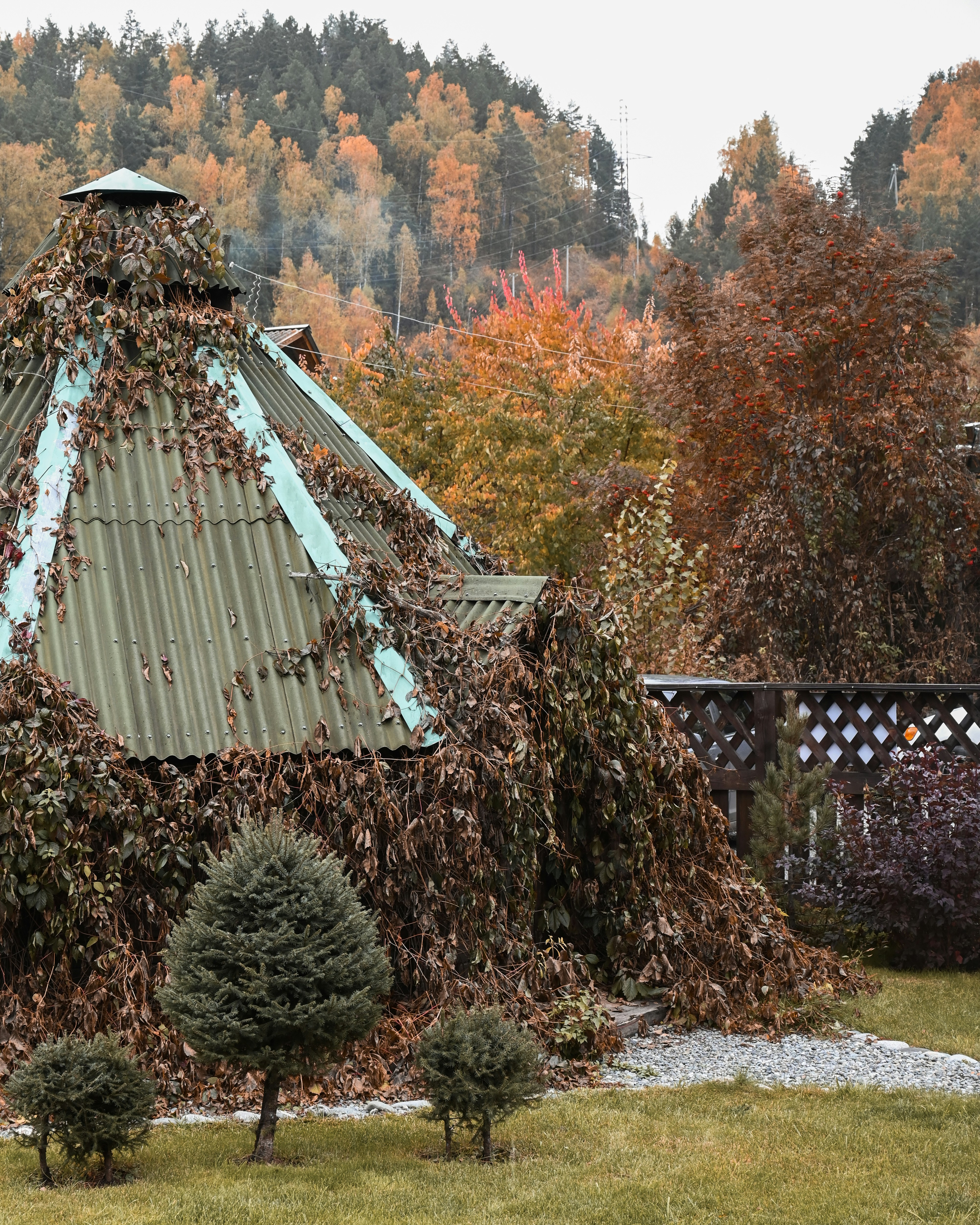 a large metal structure with trees around it