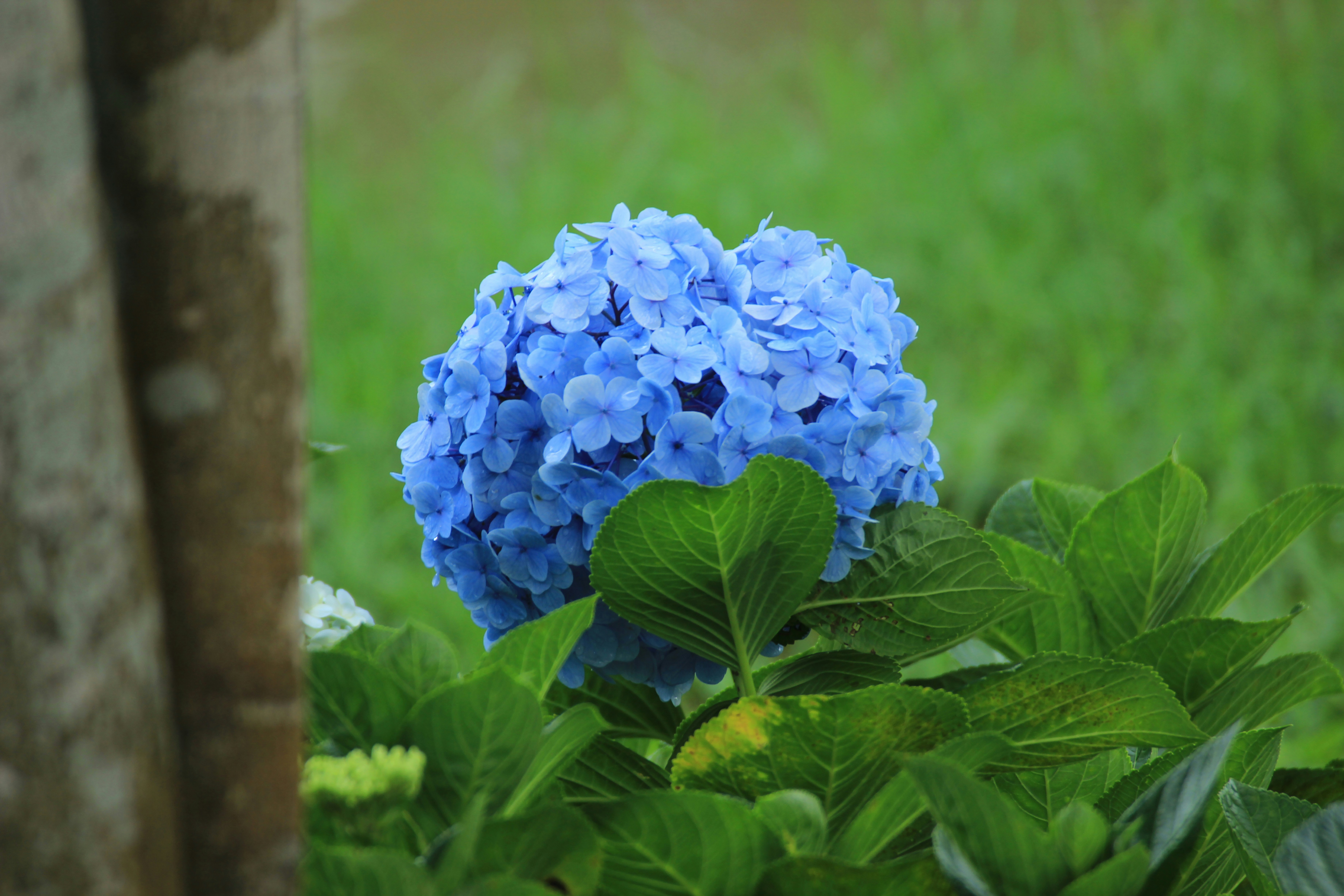 Photo by Max Do with Canon EOS 600D