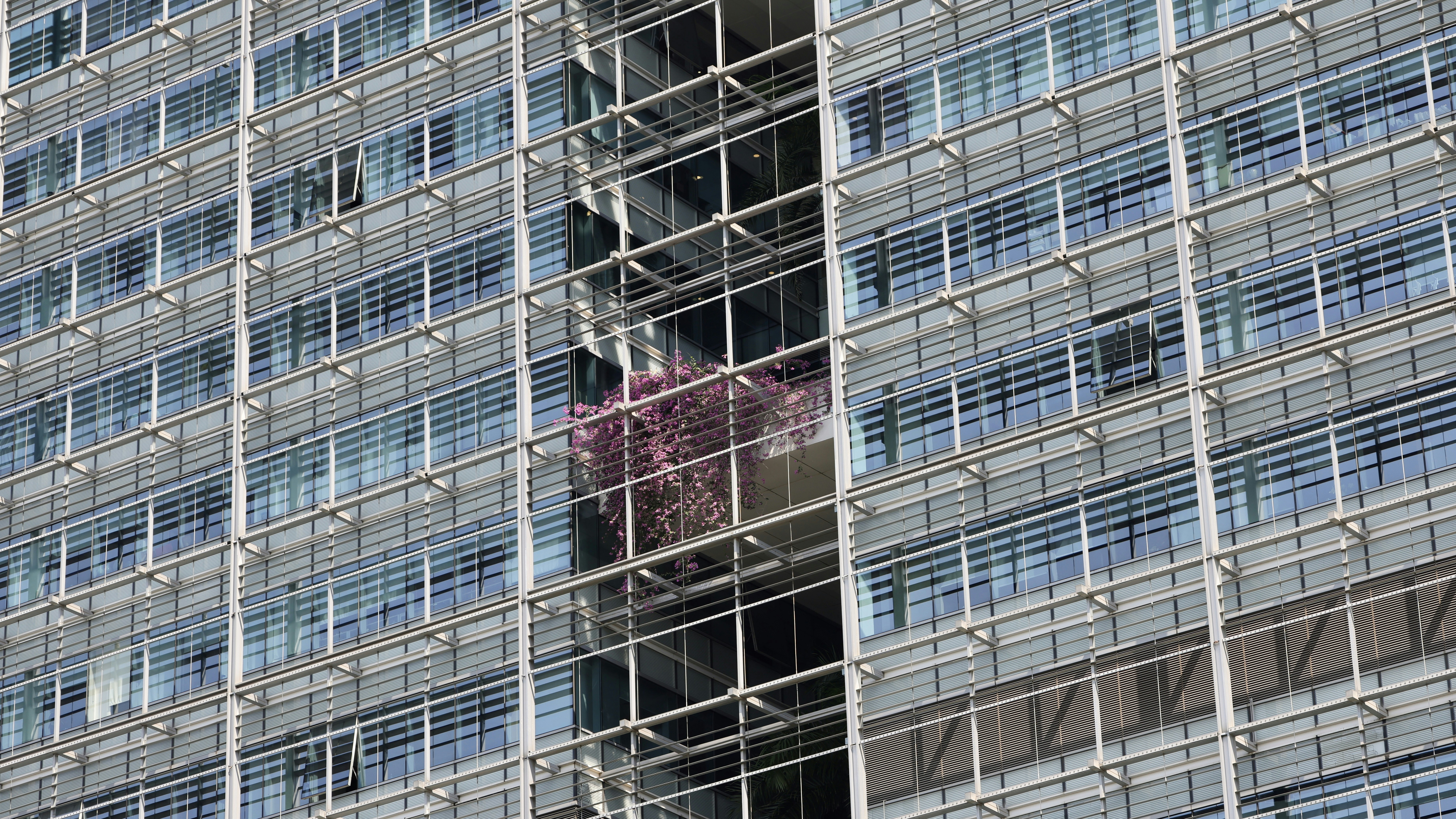 A person climbing a building photo – Free Condo Image on Unsplash