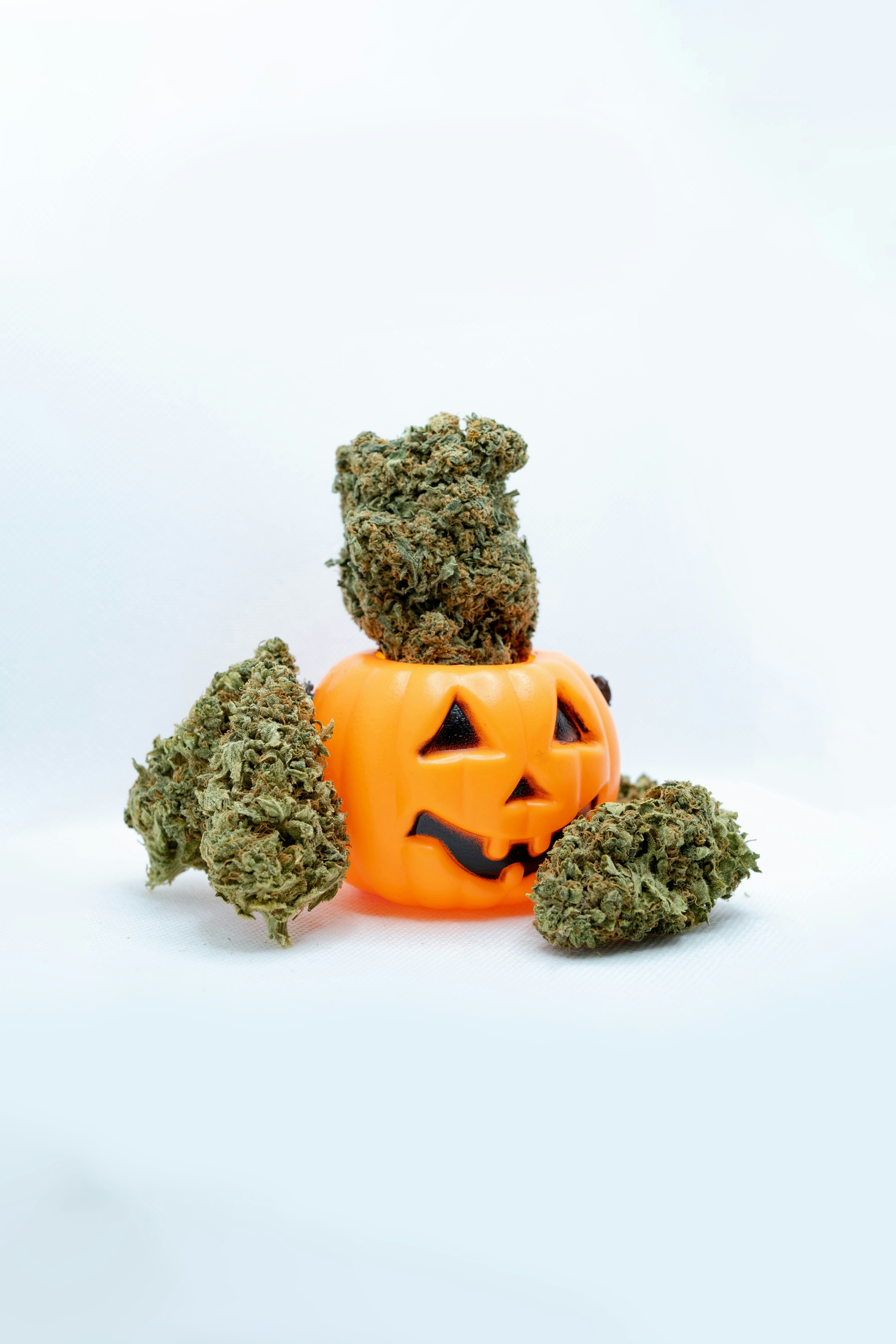 Bud Crowned Jack-O'-Lantern: A Halloween Still-Life