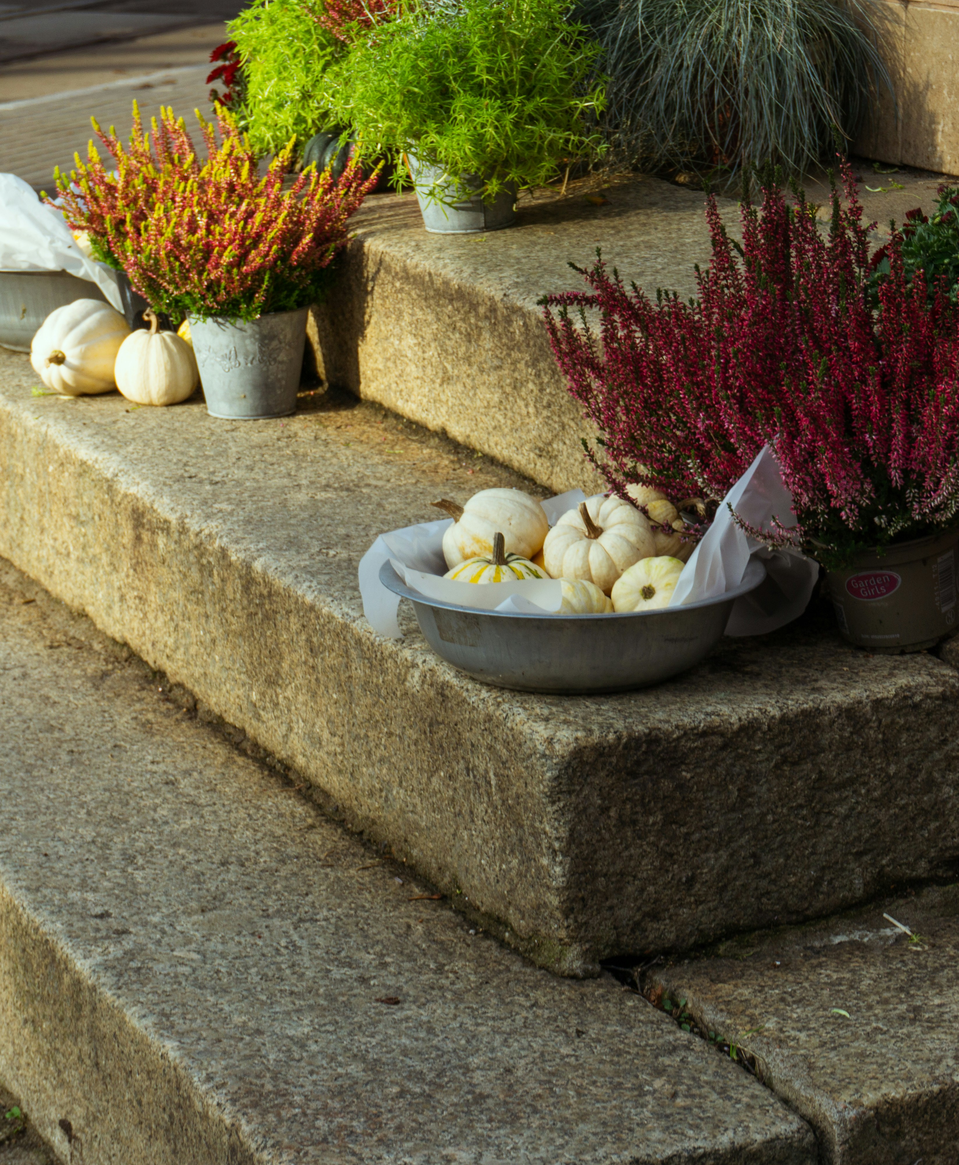 Autumn Arrangements on Weathered Steps