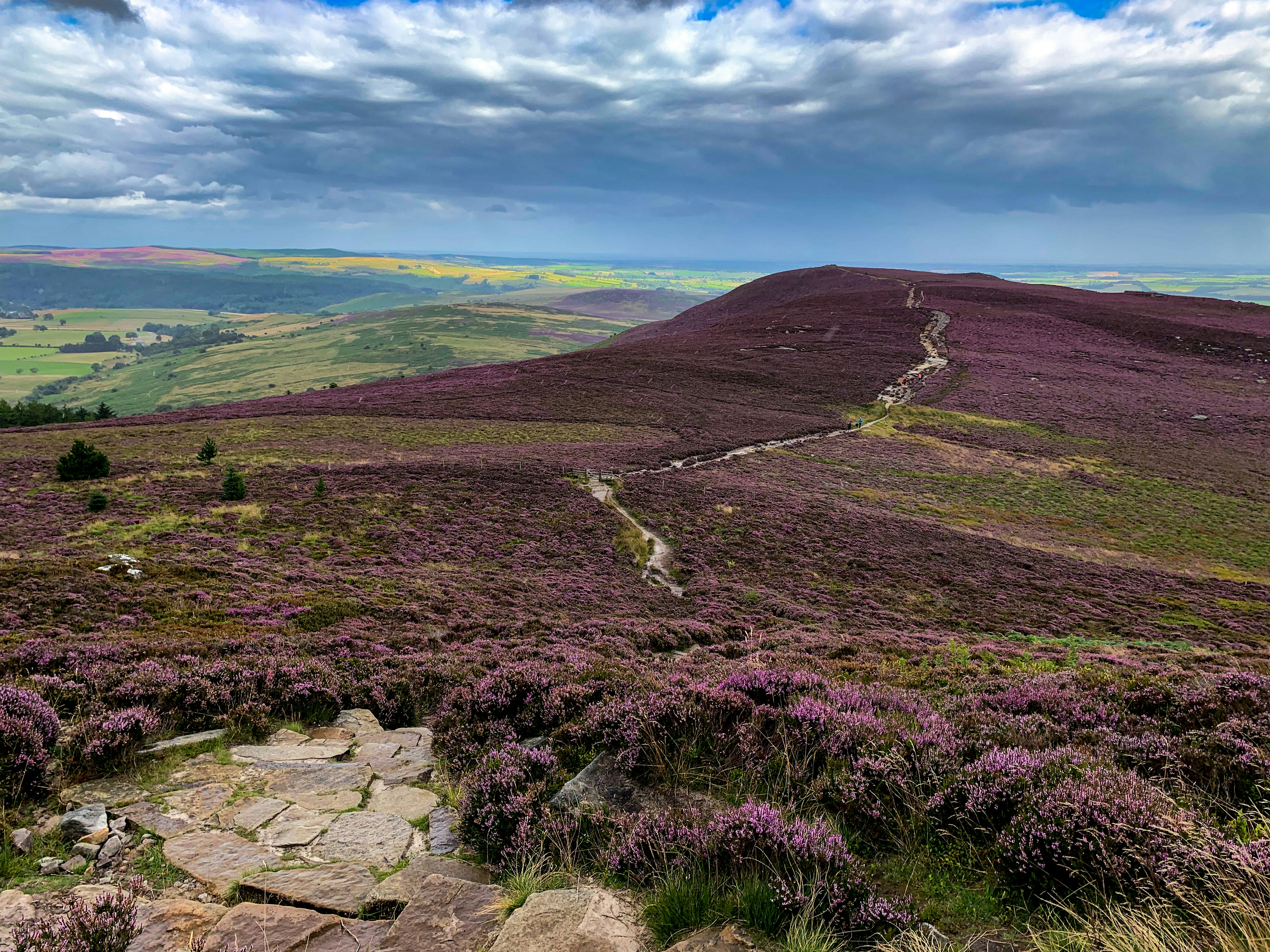 A landscape with hills and flowers photo – Free Simonside hills Image ...