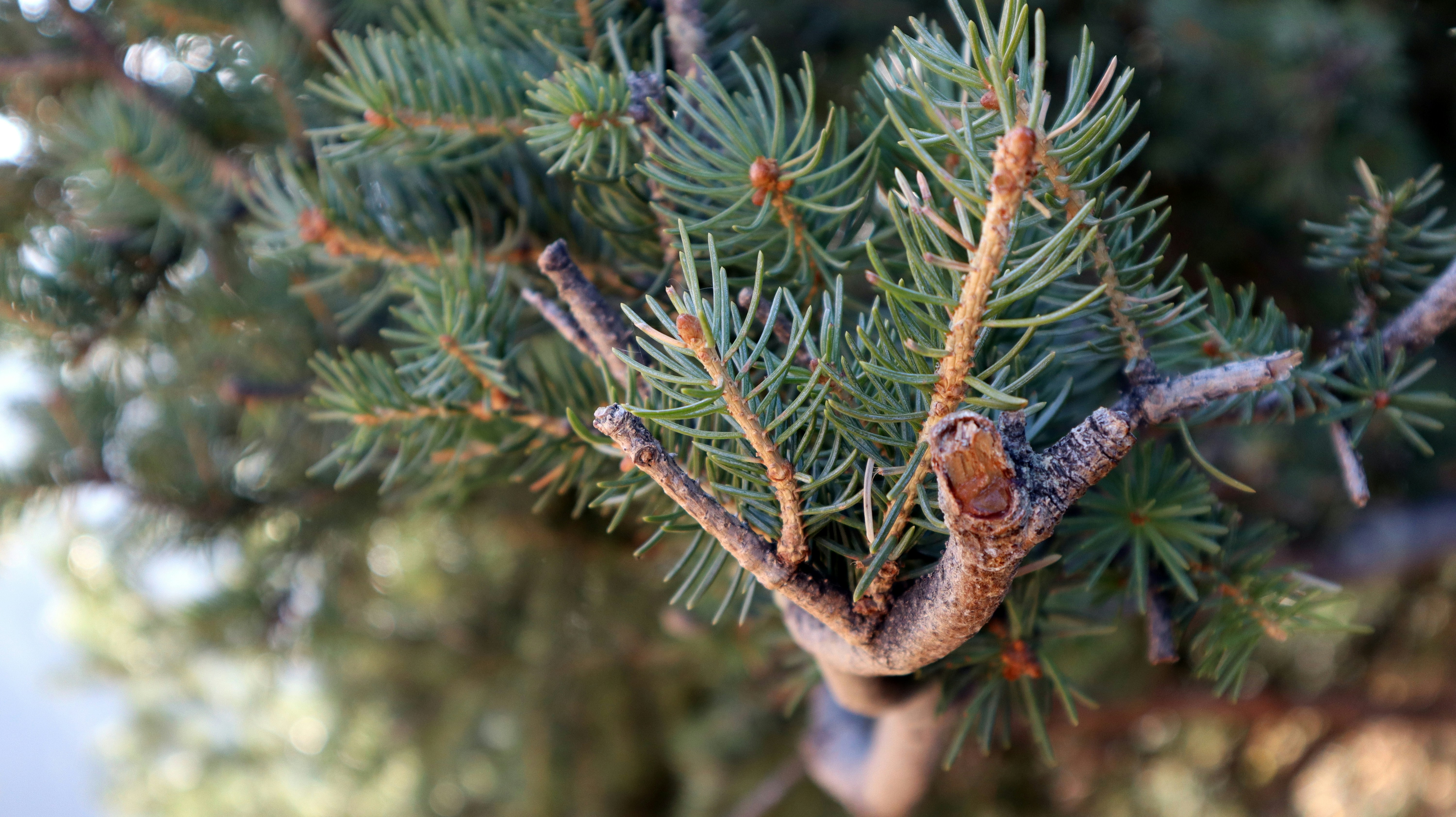 Photo by Valya Khudyakova with Canon EOS M50 Mark II