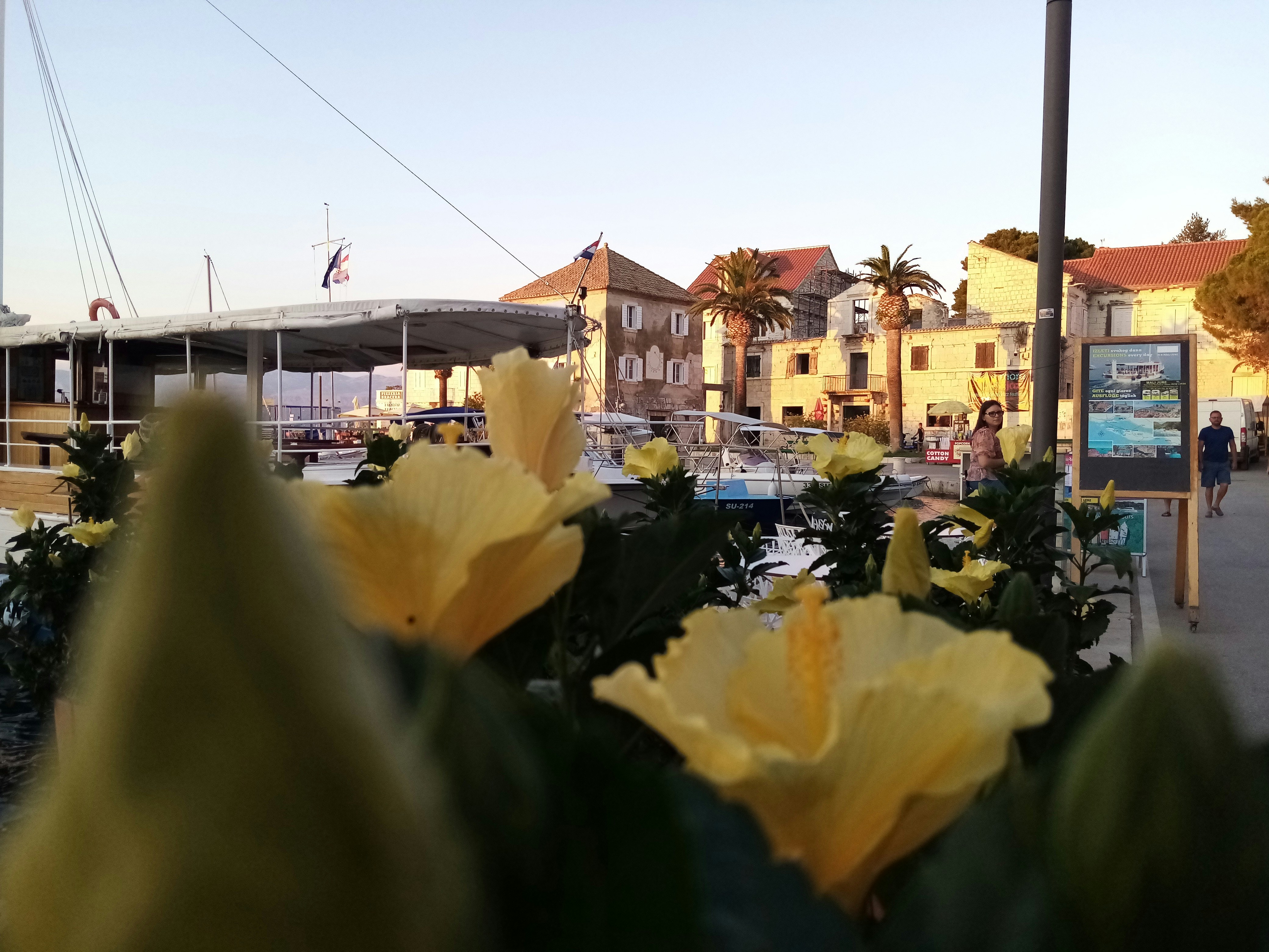 Foreground yellow hibiscus blooms blur the frame as a marina with boats and sunlit waterfront houses stretches into the background.