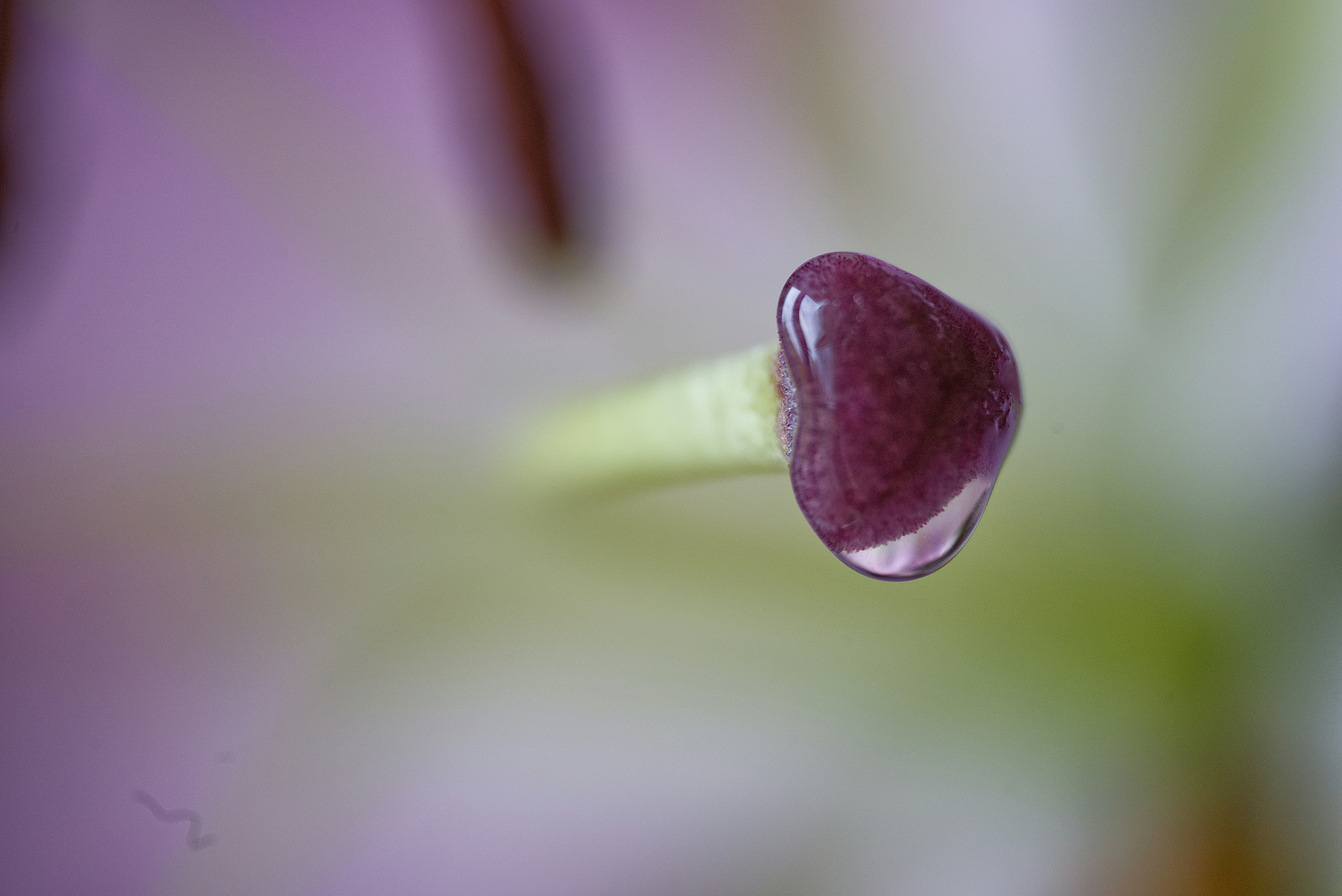 a close up of a drop of water