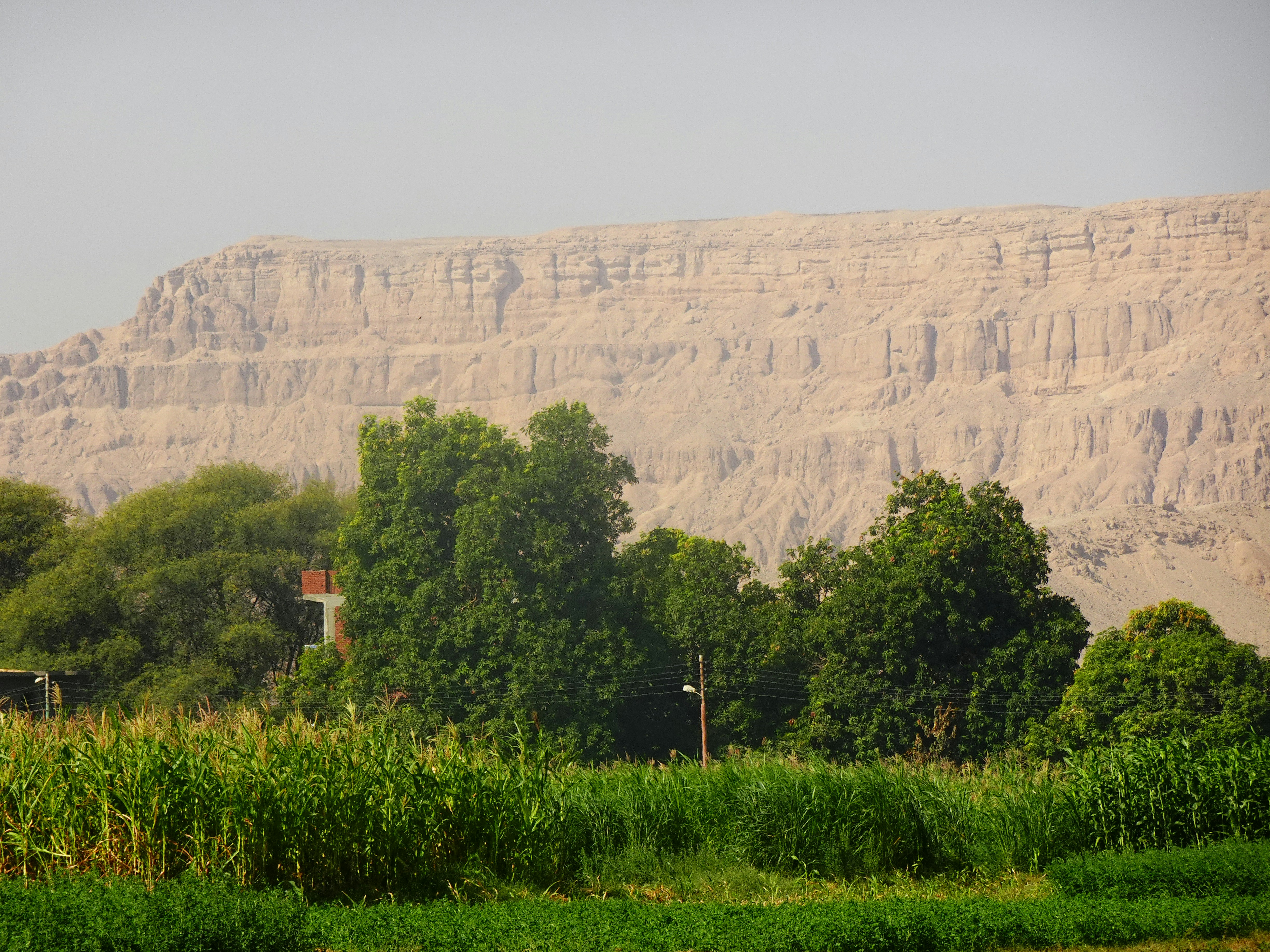 A large hill with trees and bushes photo – Free Plant Image on Unsplash