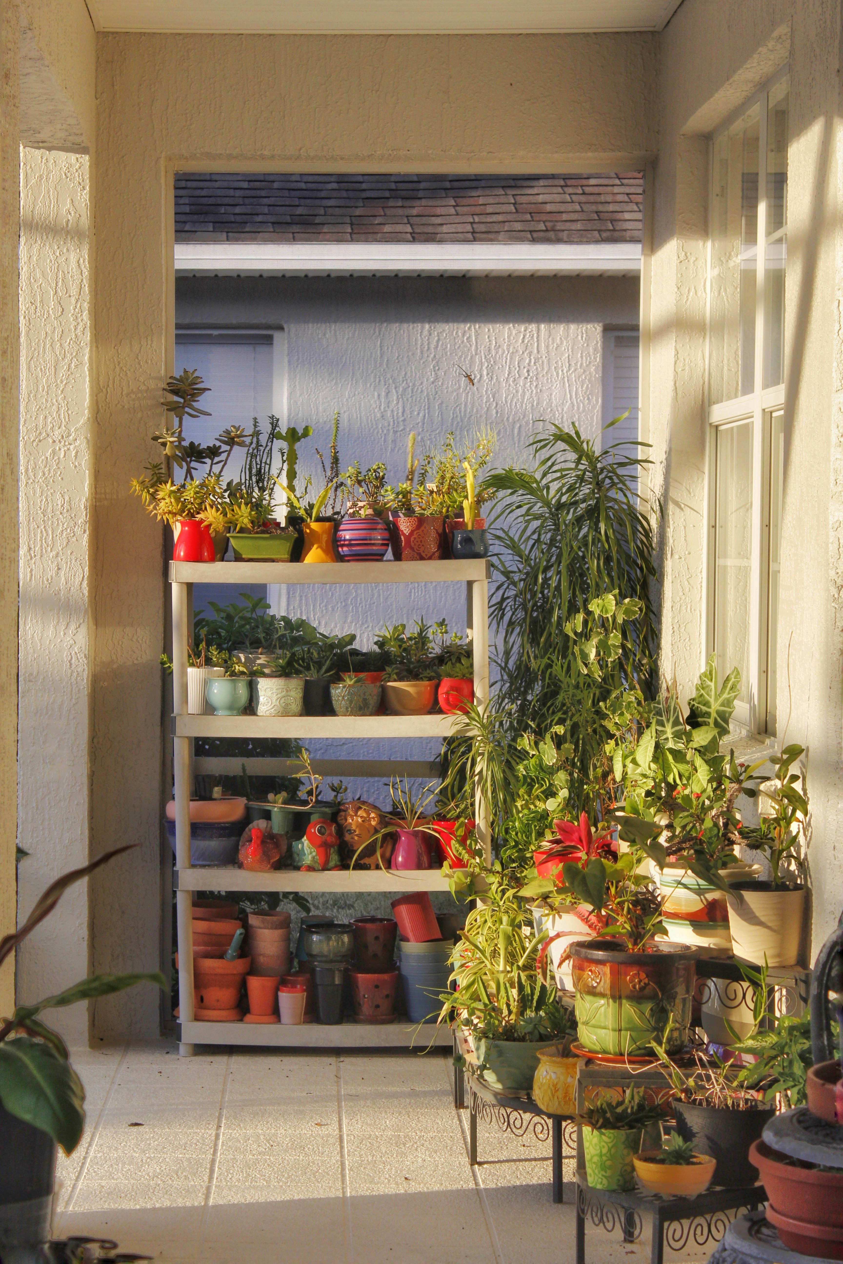 Patio full of plants in pots