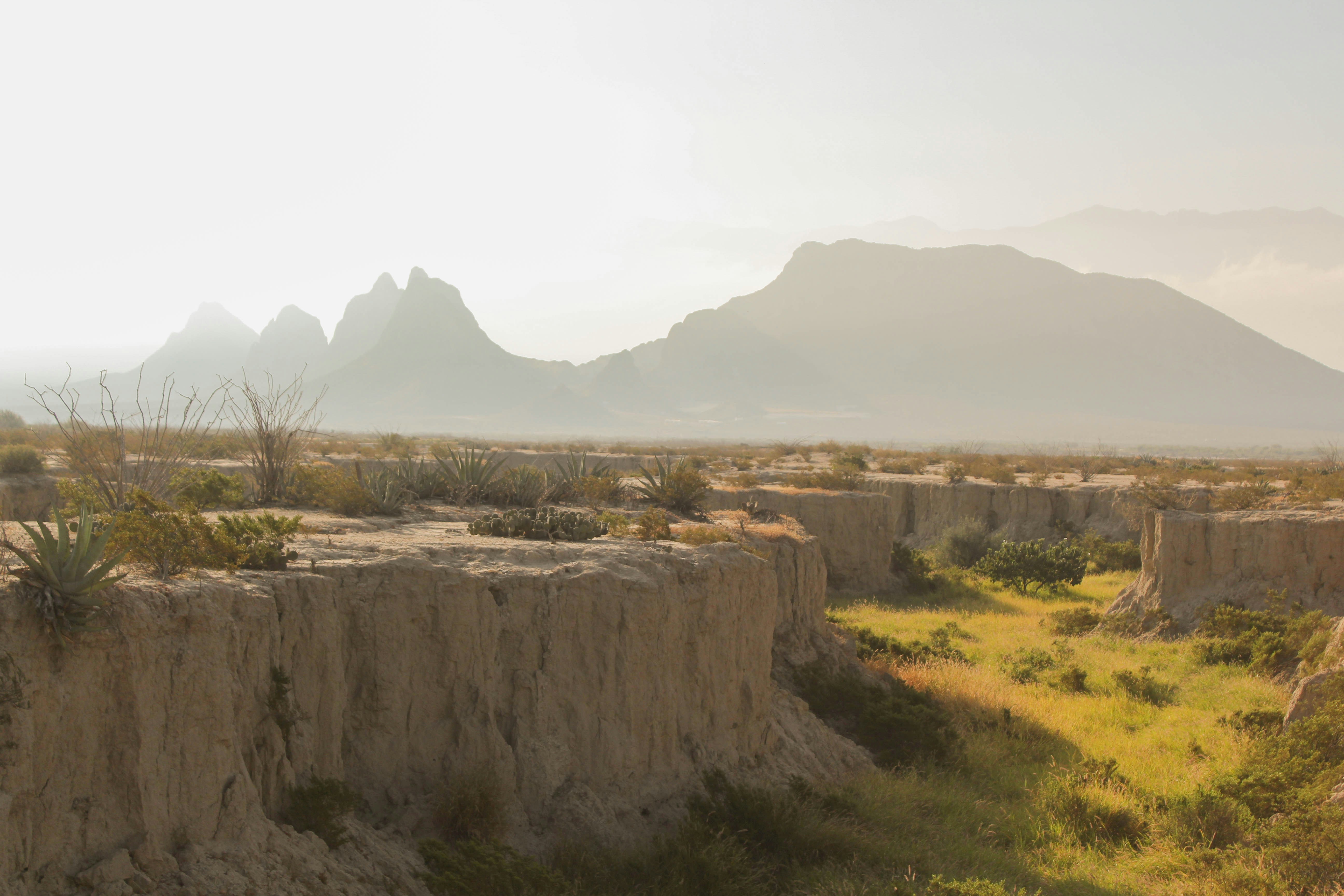 Photo by Lorena Lizeth Gonzalez Briones with Canon EOS 1300D