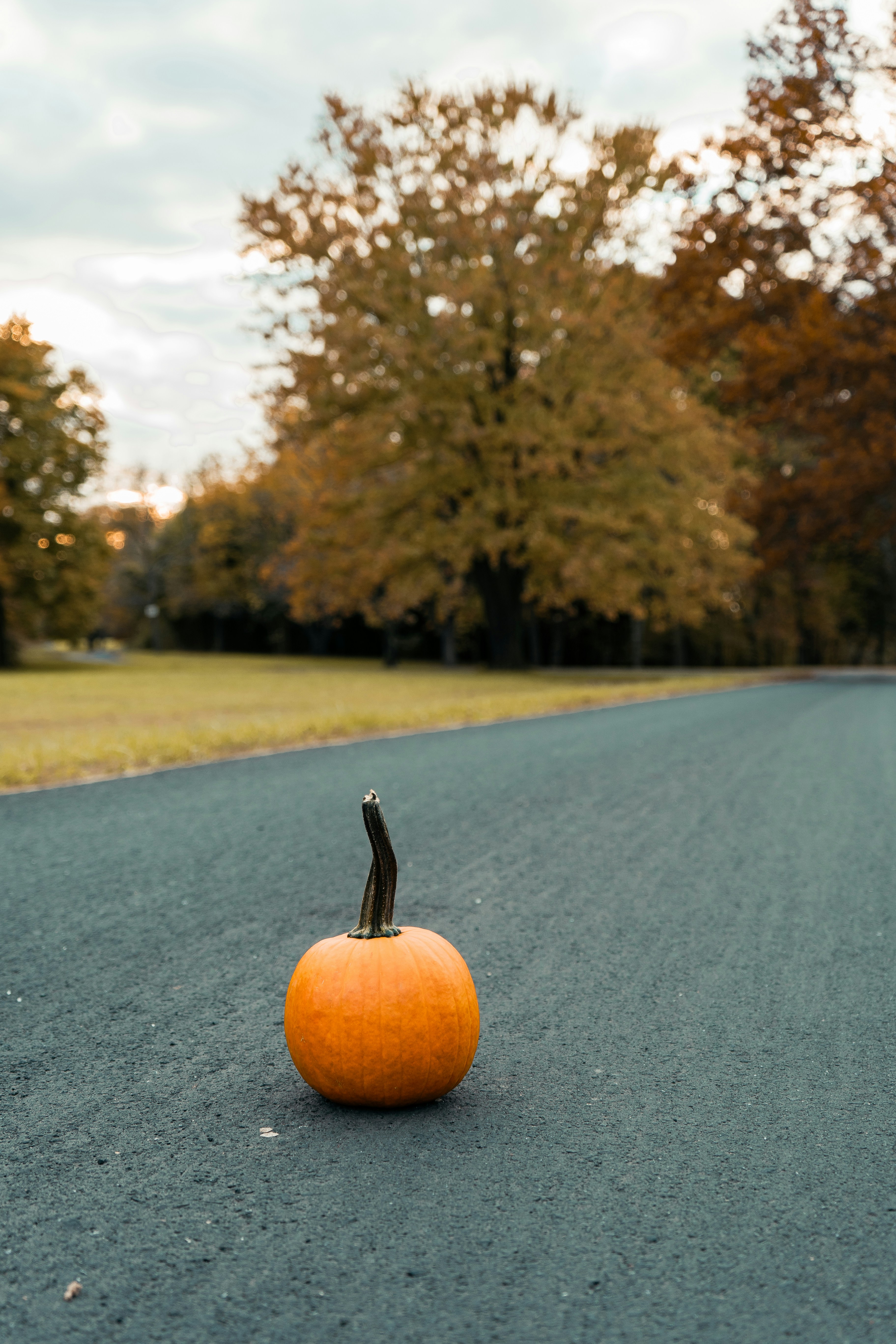 Orange Lantern on the Autumn Parkway