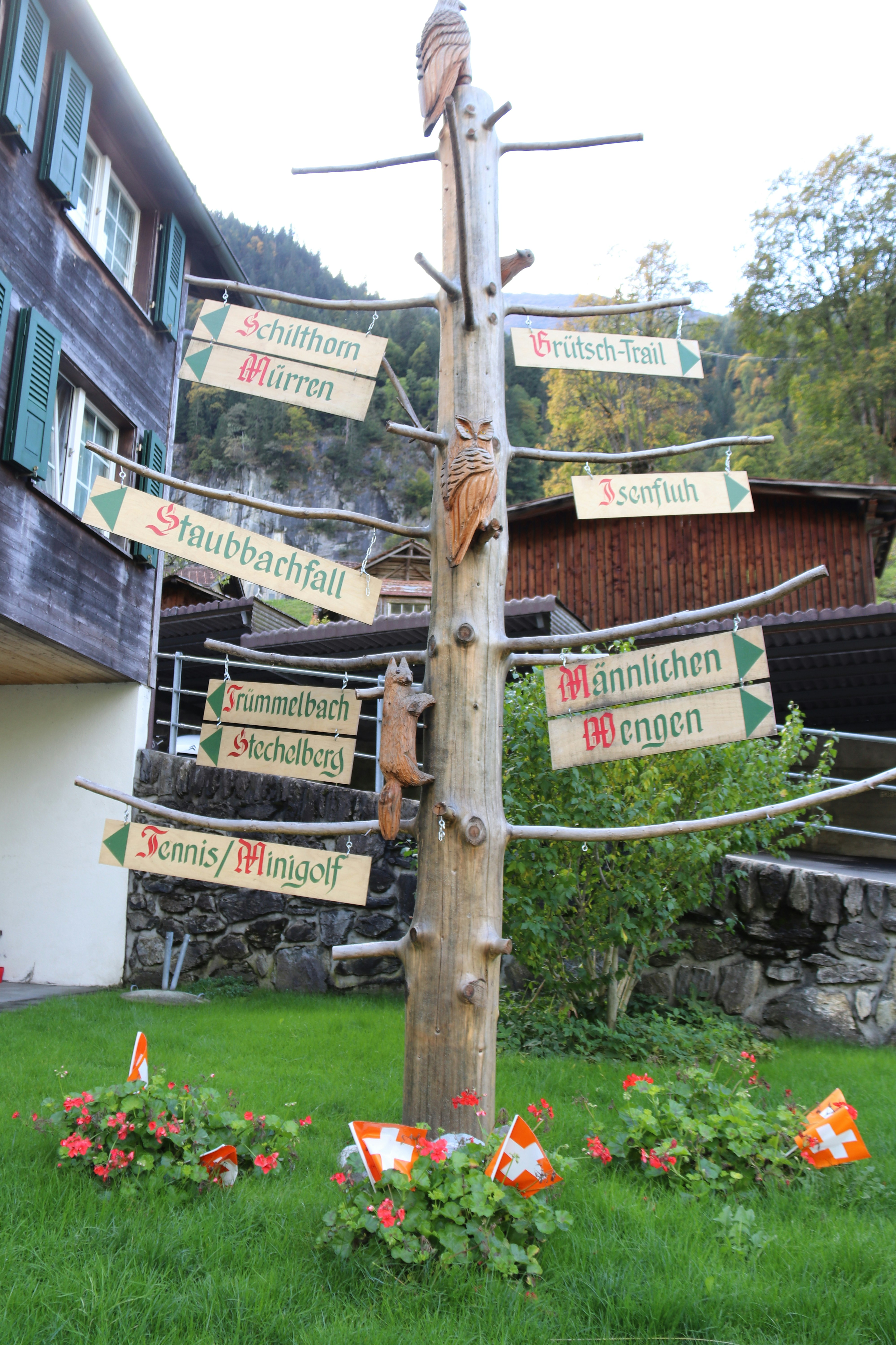 Signpost Tree of Alpine Trails