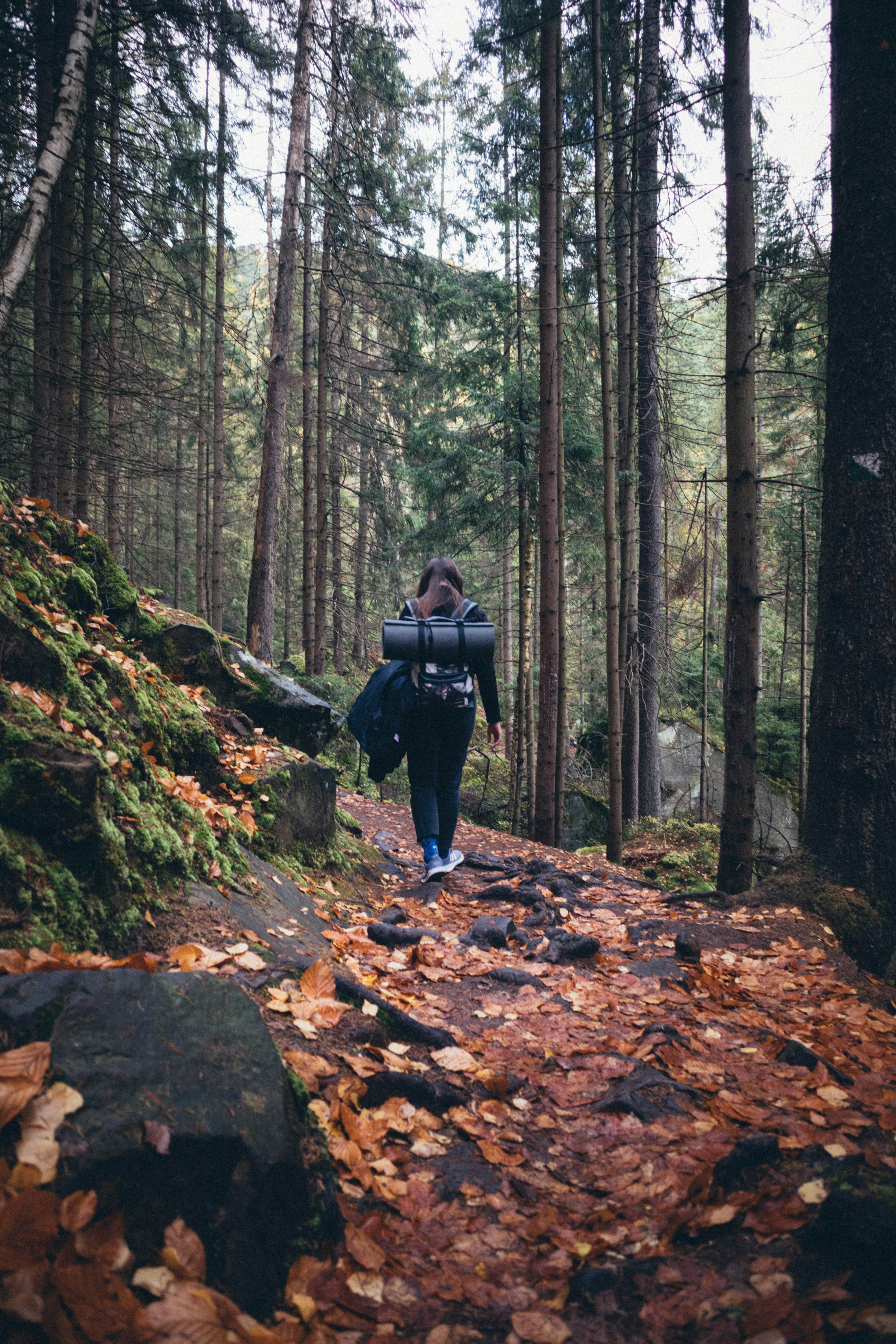 Un homme marchant sur un chemin rocailleux dans les bois photo – Image ...