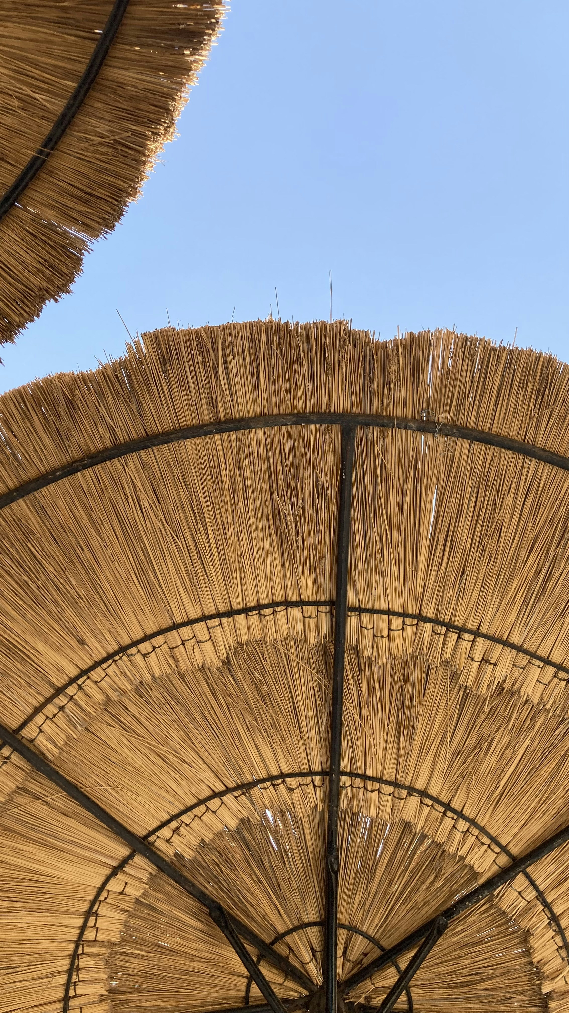 Photo by yousef rafat with Apple iPhone SE