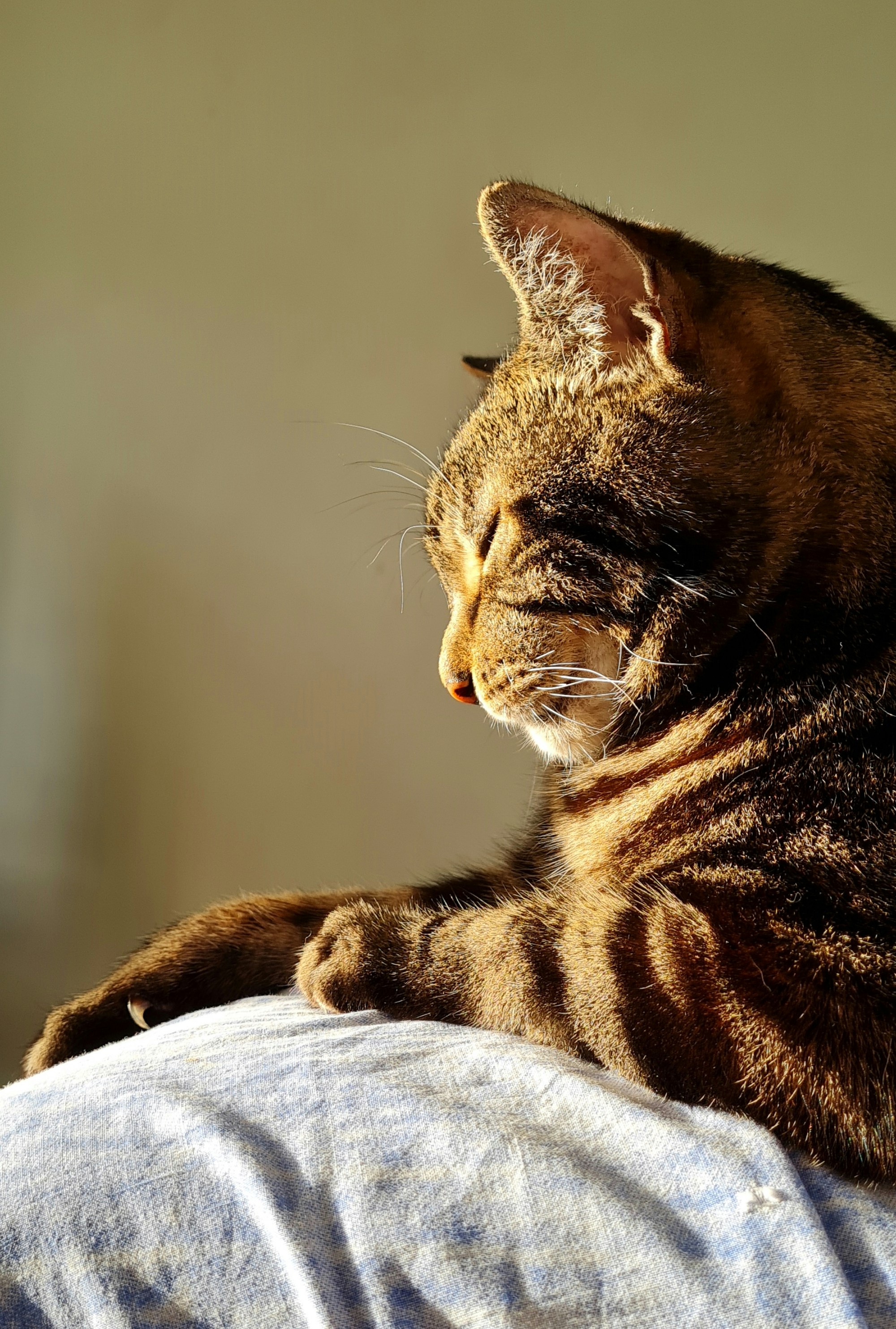 Jude Mack (@solusfire) | Unsplashフォトコミュニティ