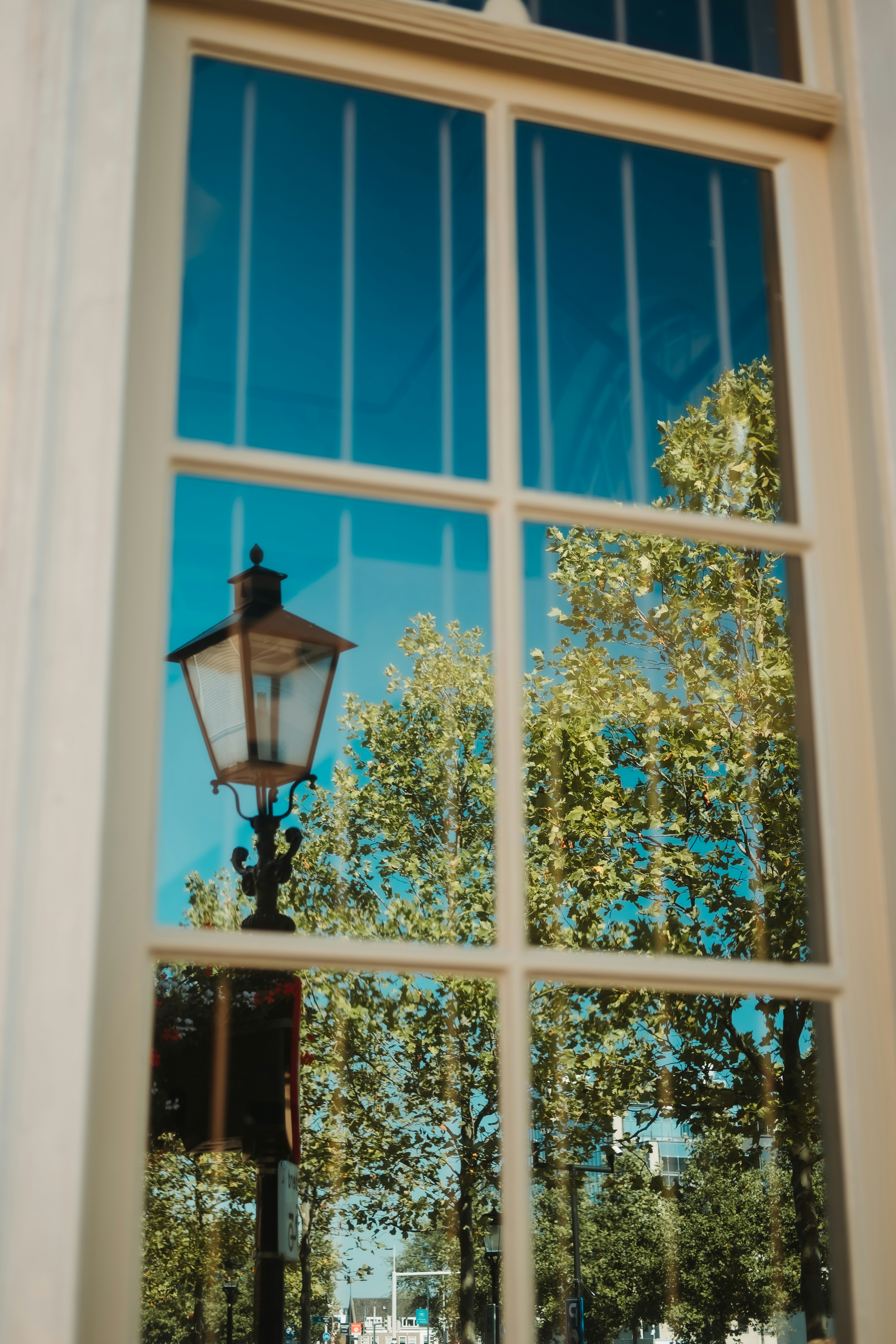 A window's reflection showcases a classic street lamp and vibrant trees against a clear blue sky.